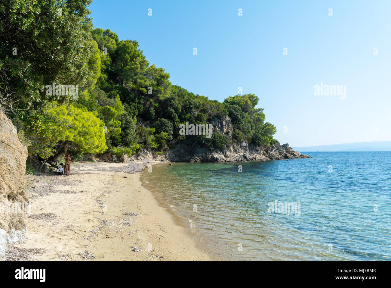 Skiathos wildlife hi-res stock photography and images - Alamy