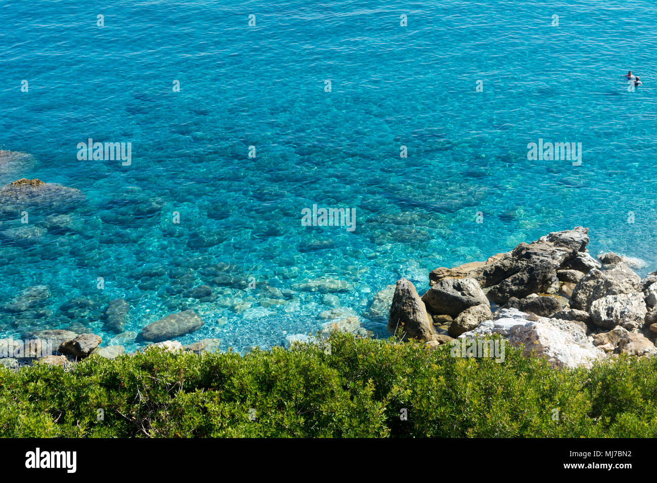 Skiathos wildlife hi-res stock photography and images - Alamy