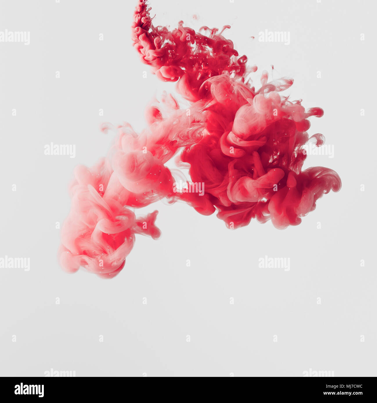 close up view of bright red paint splash in water isolated on gray ...
