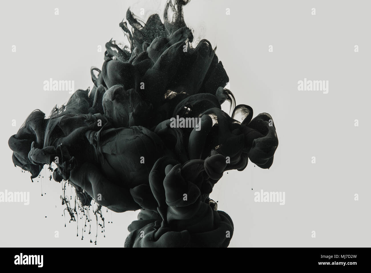 close up view of black paint splash in water isolated on gray Stock ...