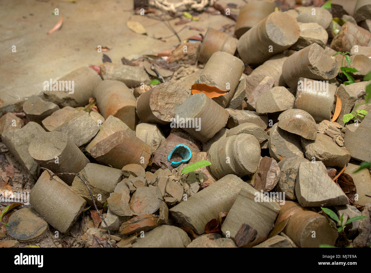 Broken mining core samples on the ground in the middle of the jungle ...