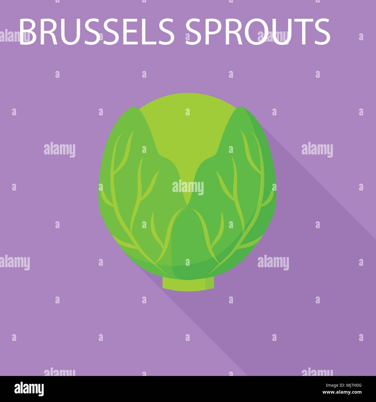 Brussels sprouts icon, flat style Stock Vector Image & Art - Alamy