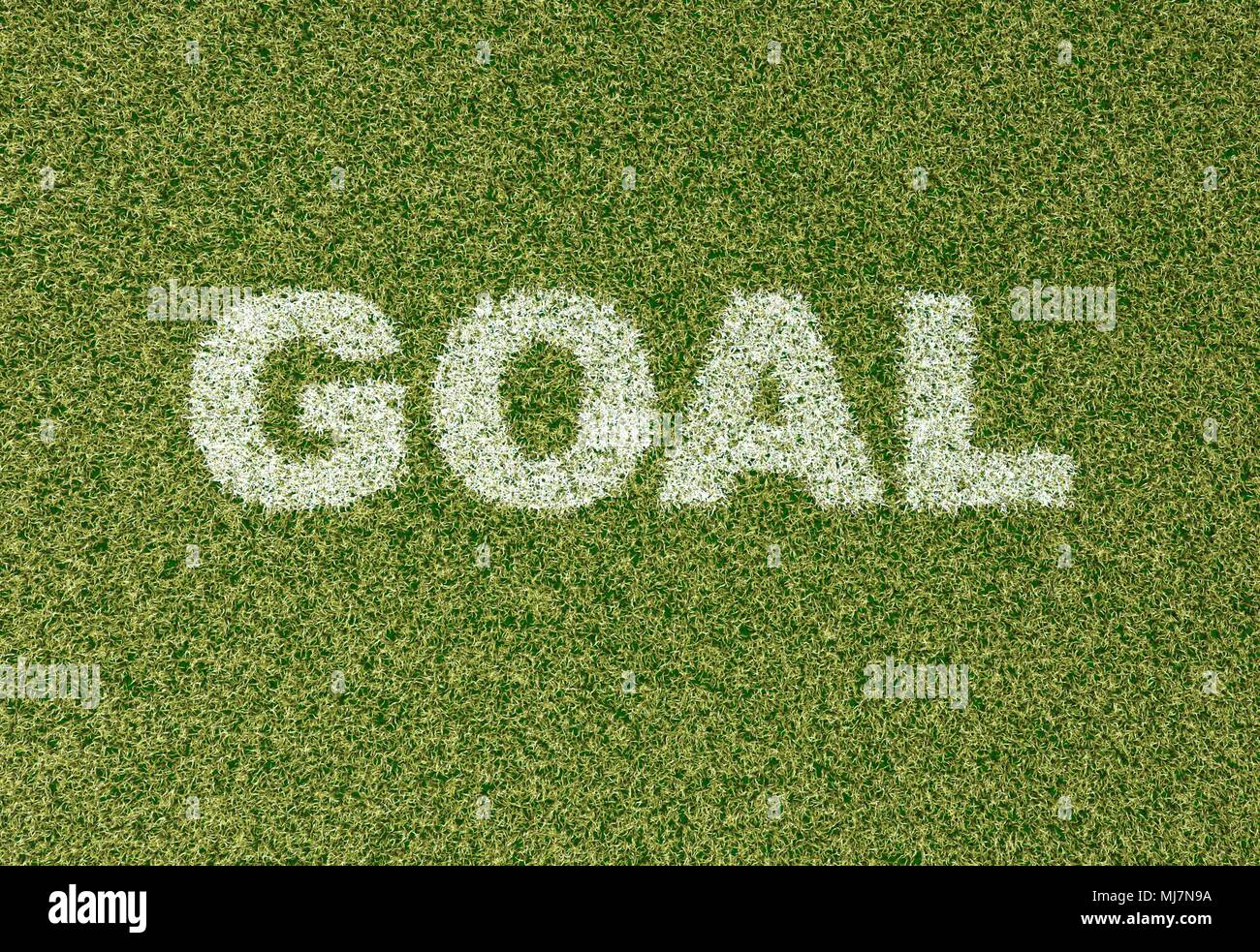realistic textured grass football - soccer field. GOAL - written with ...