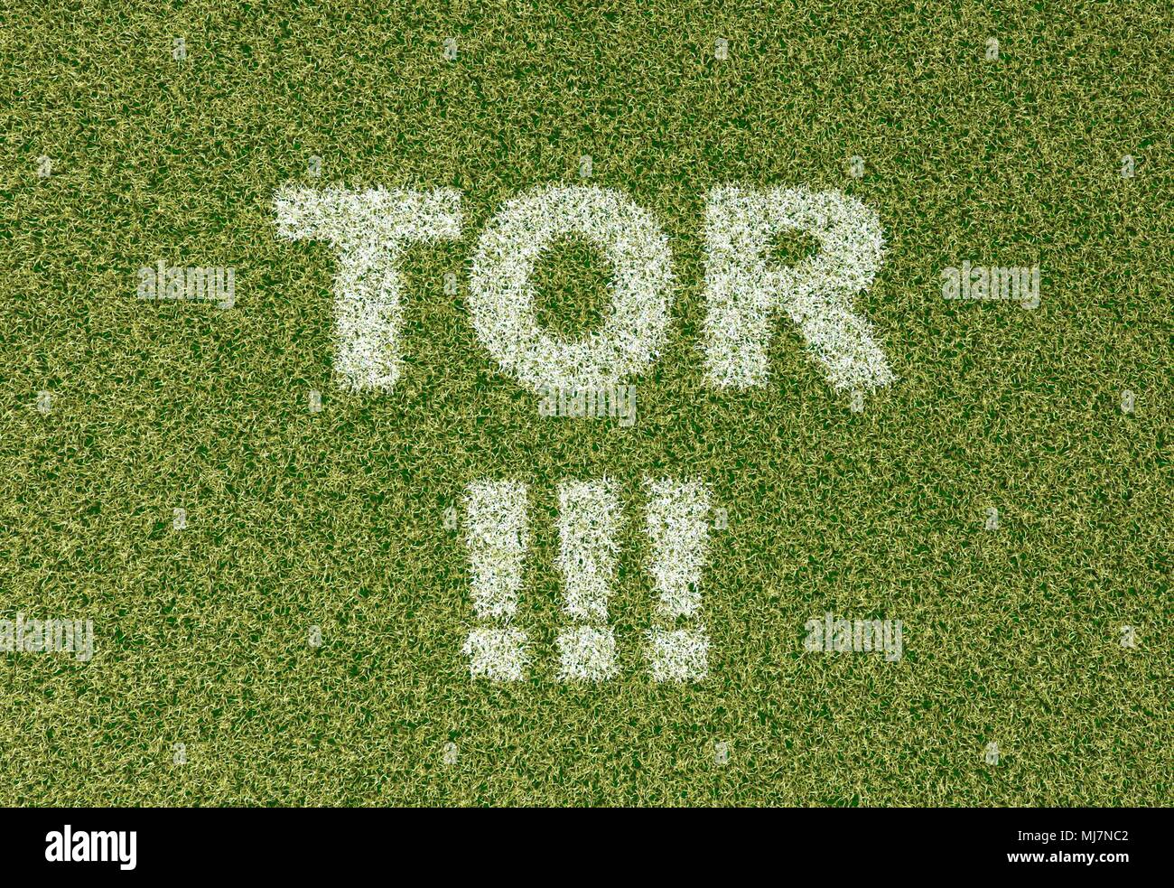 realistic textured grass football - soccer field. TOR - written with ...