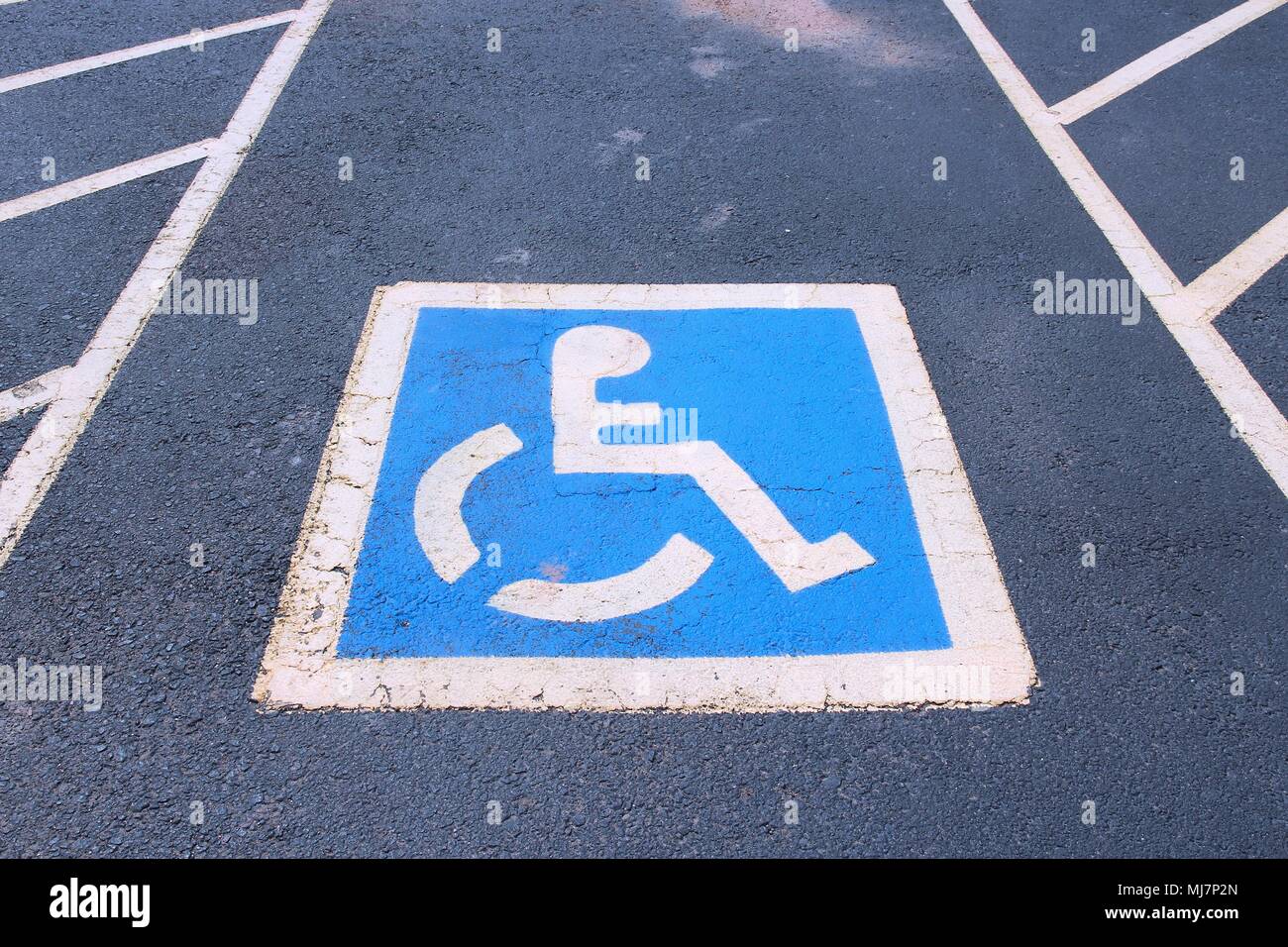 Handicapped parking spot - transportation infrastructure road markings ...