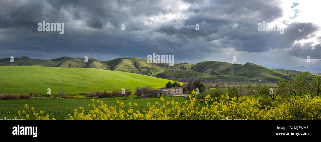 Green landscape with storm clouds Stock Photo - Alamy