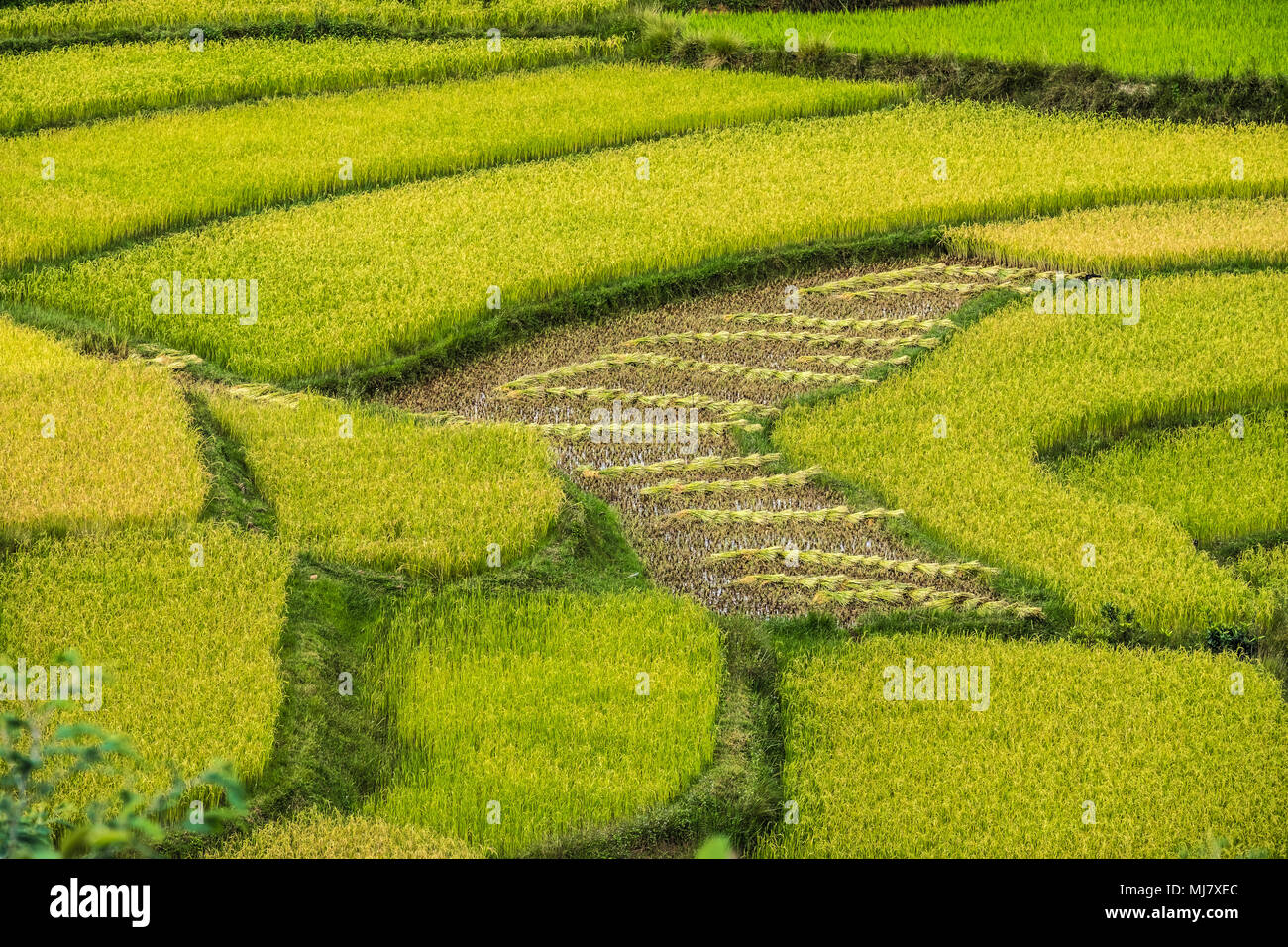 Rice terraces and Merina villages along the National Route 7 South of ...
