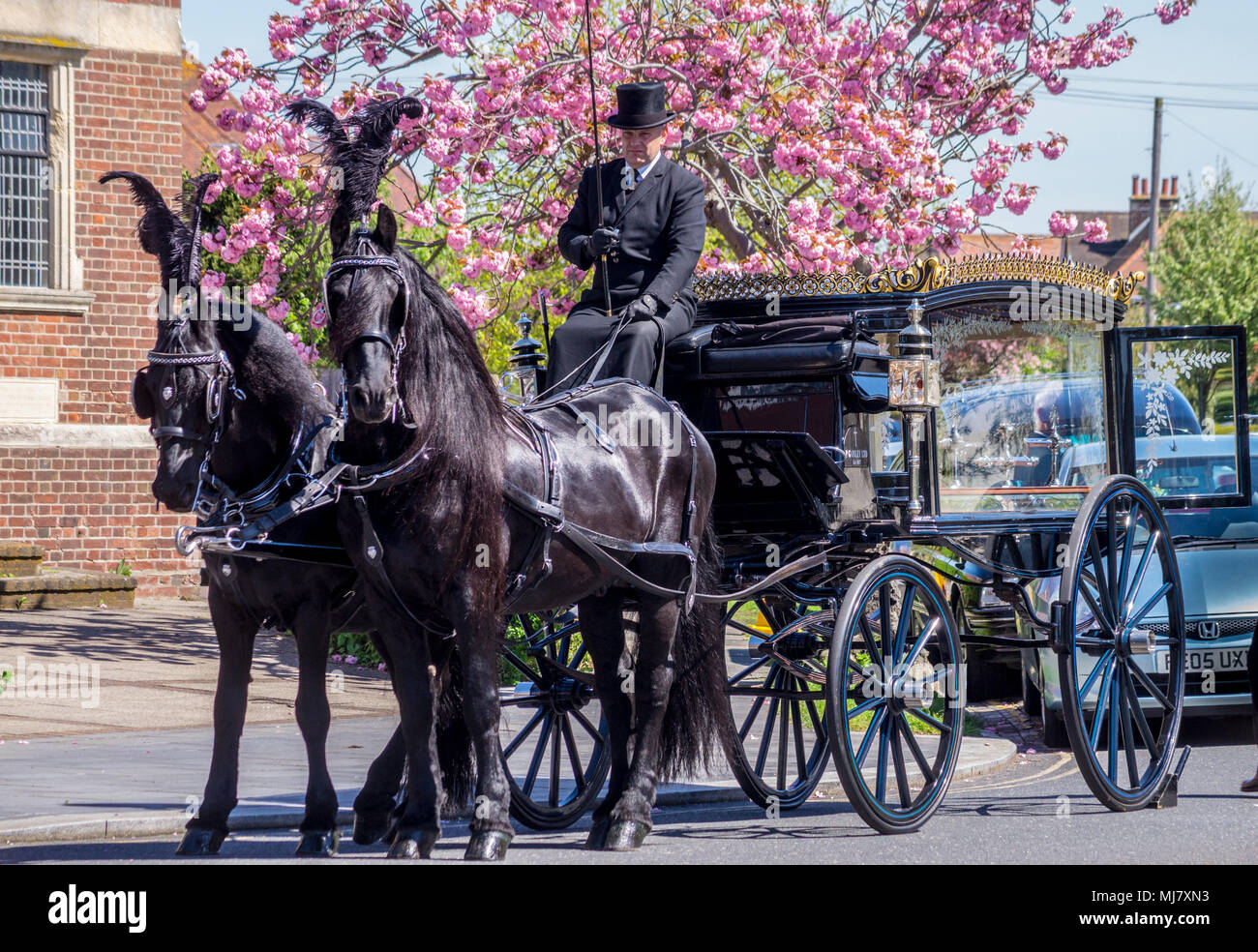Horse drawn funeral carriages hi-res stock photography and images - Alamy