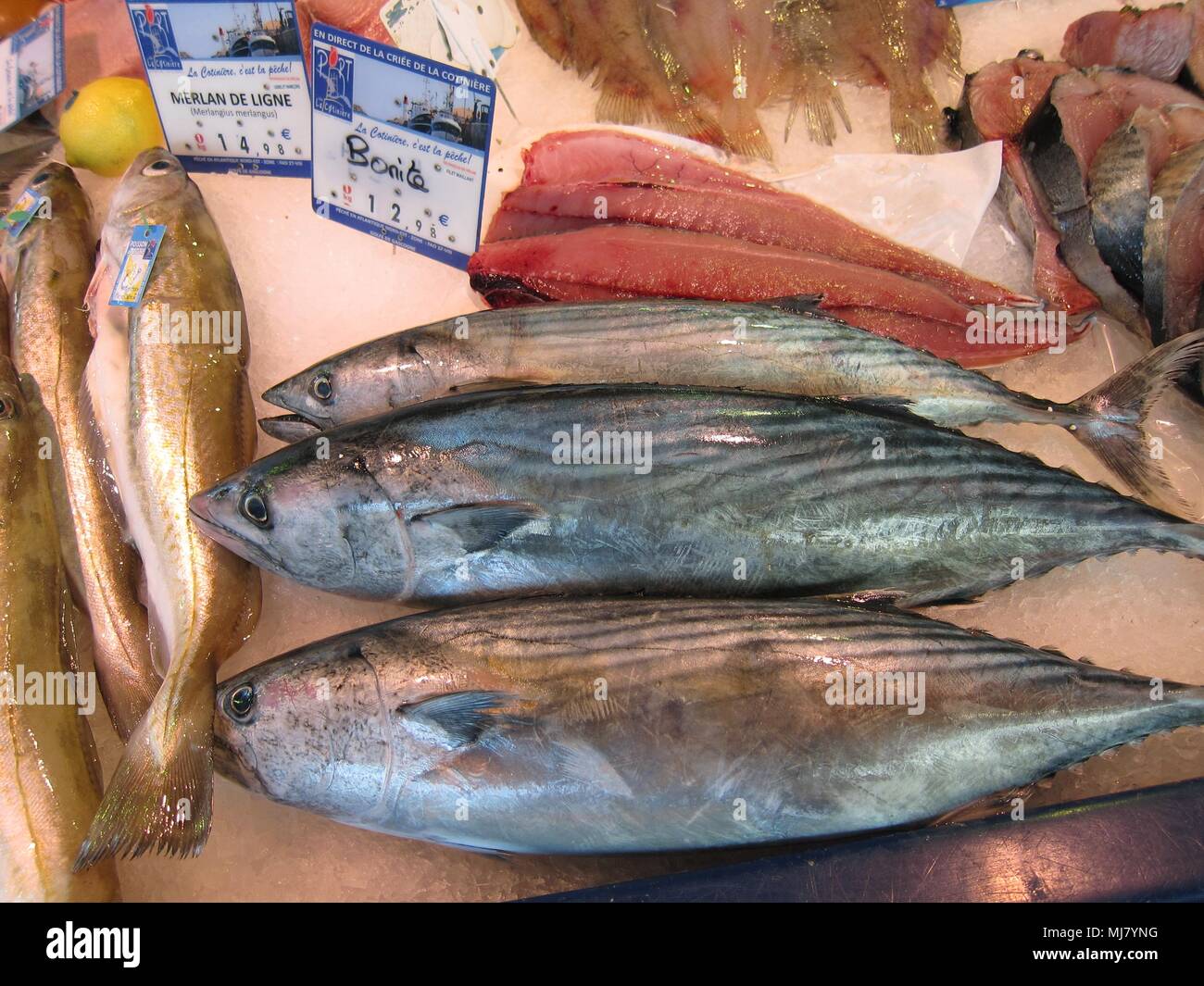 fish on market Stock Photo - Alamy