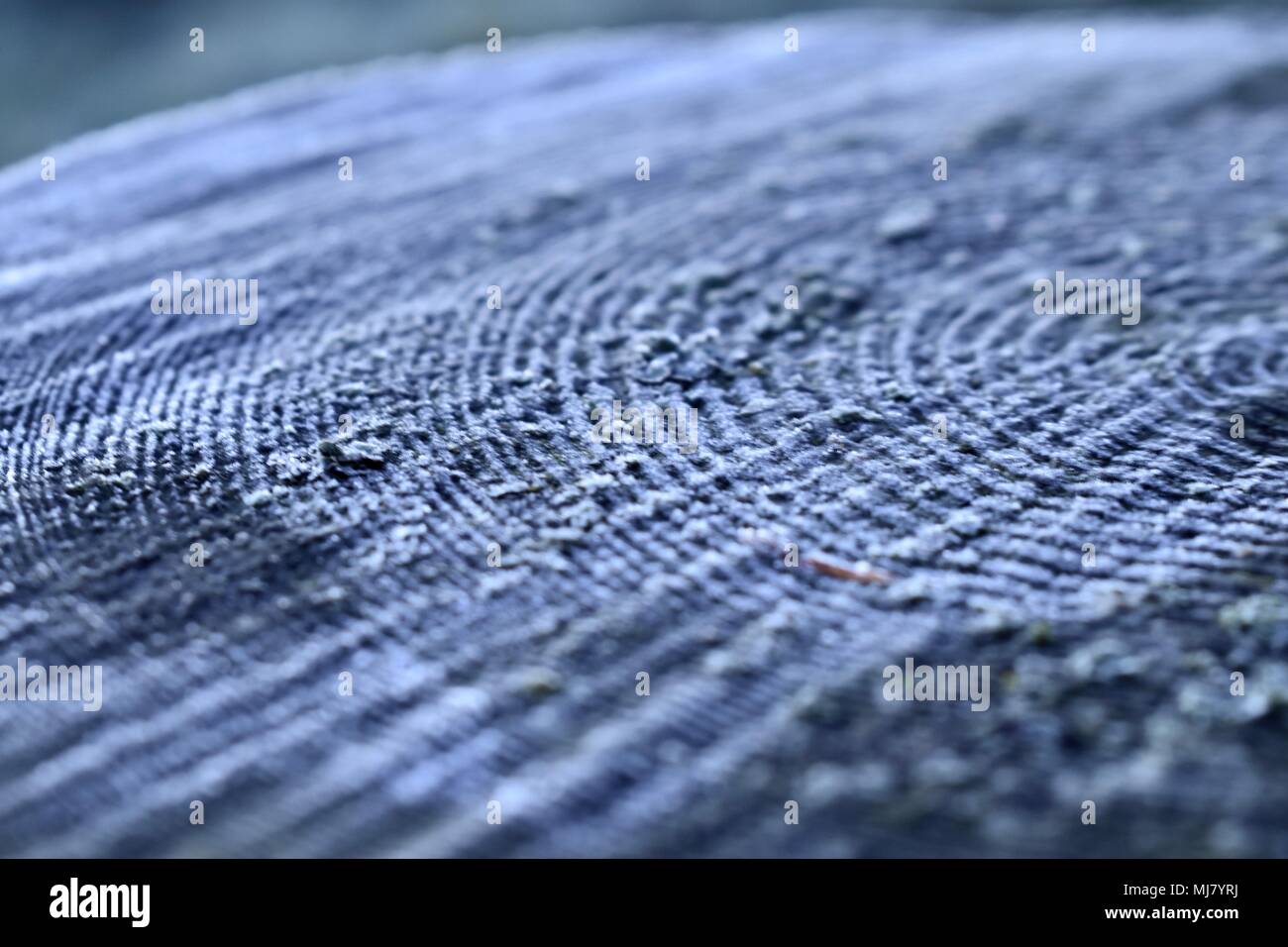 Uk Cotswolds November High Resolution Stock Photography and Images - Alamy