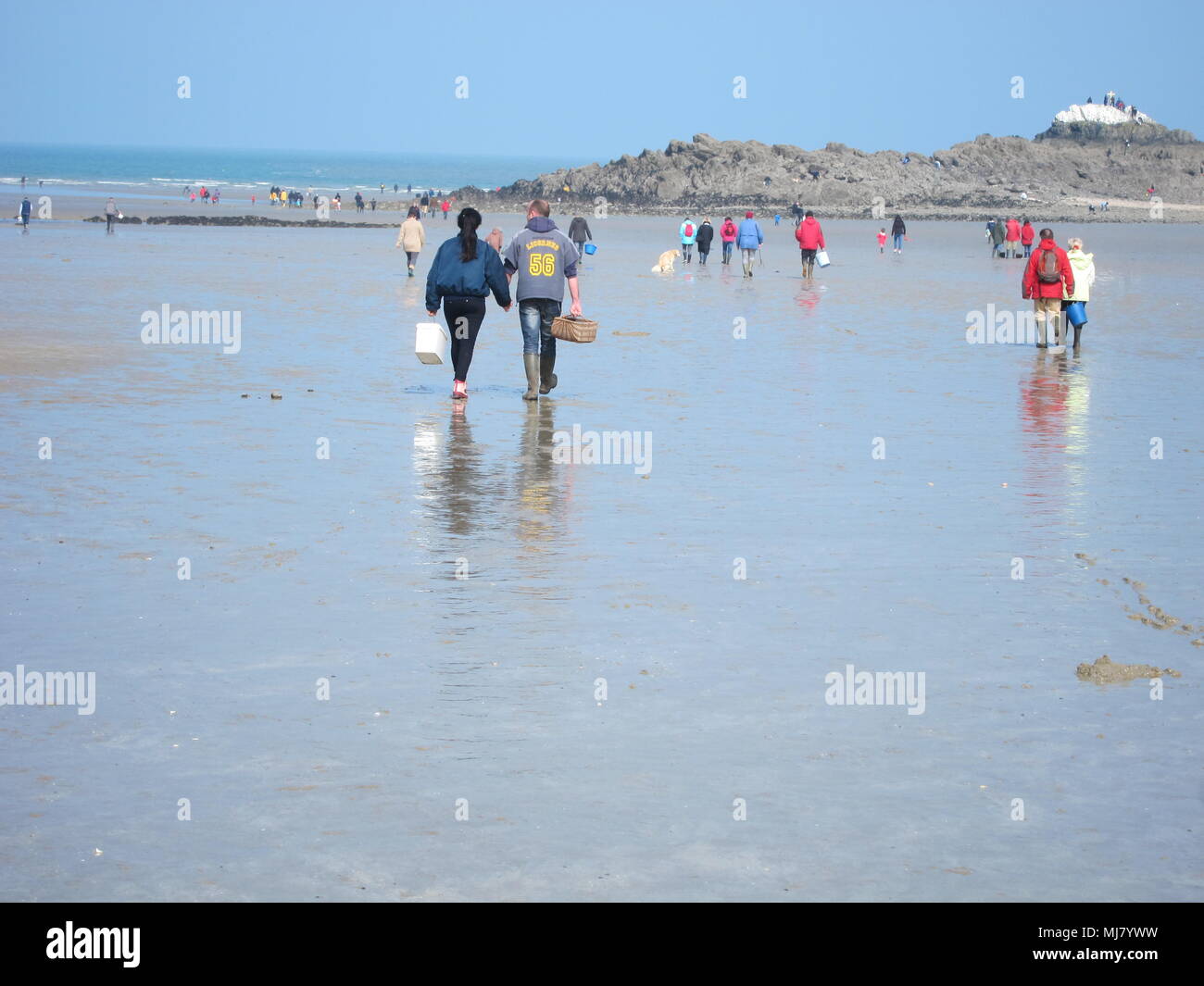 shell fishing on the foreshore at Martin beach Stock Photo - Alamy