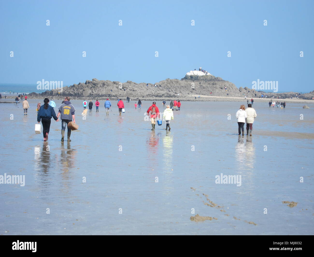 shell fishing on the foreshore at Martin beach Stock Photo - Alamy