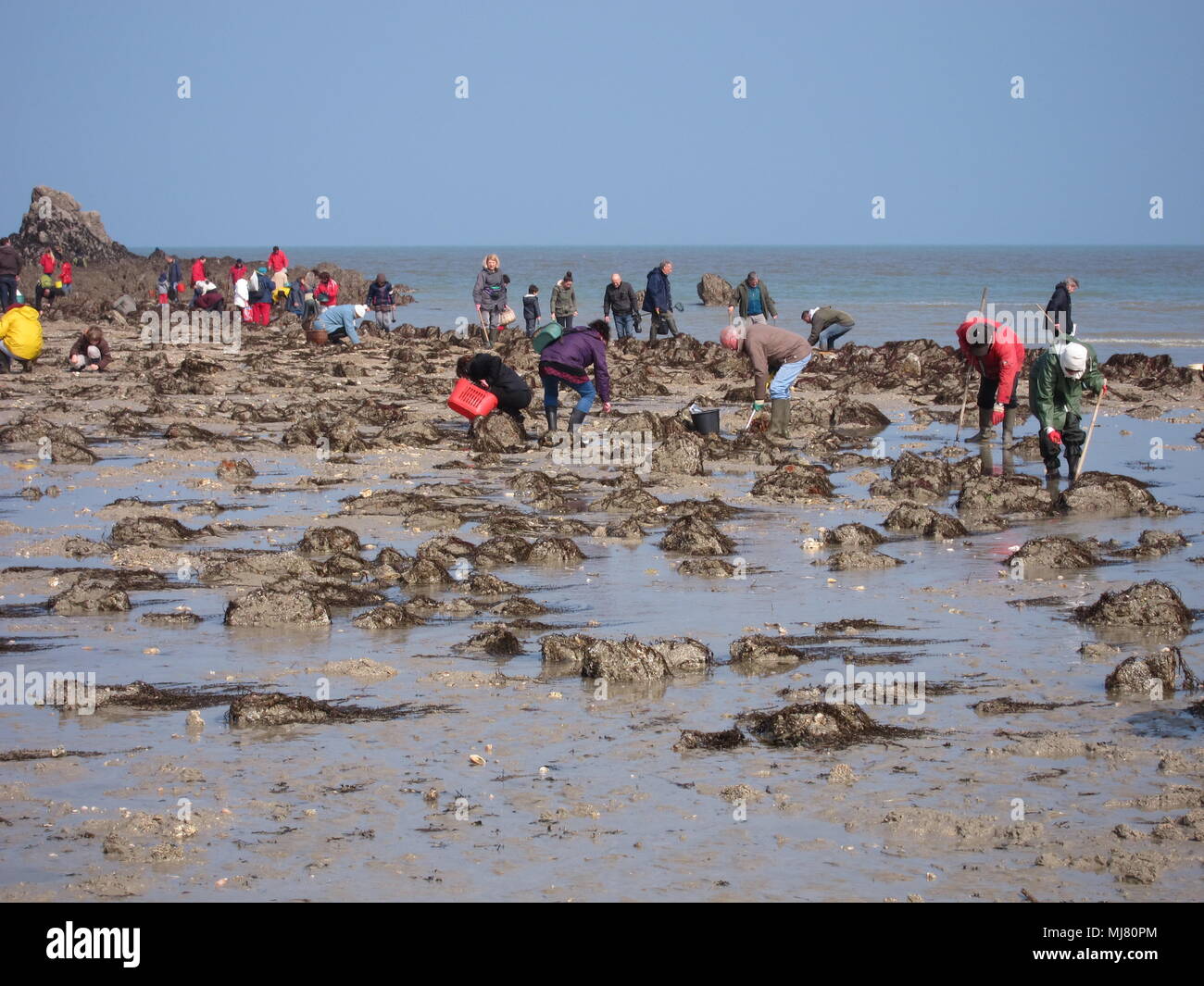 shell fishing on the foreshore at Martin beach Stock Photo - Alamy