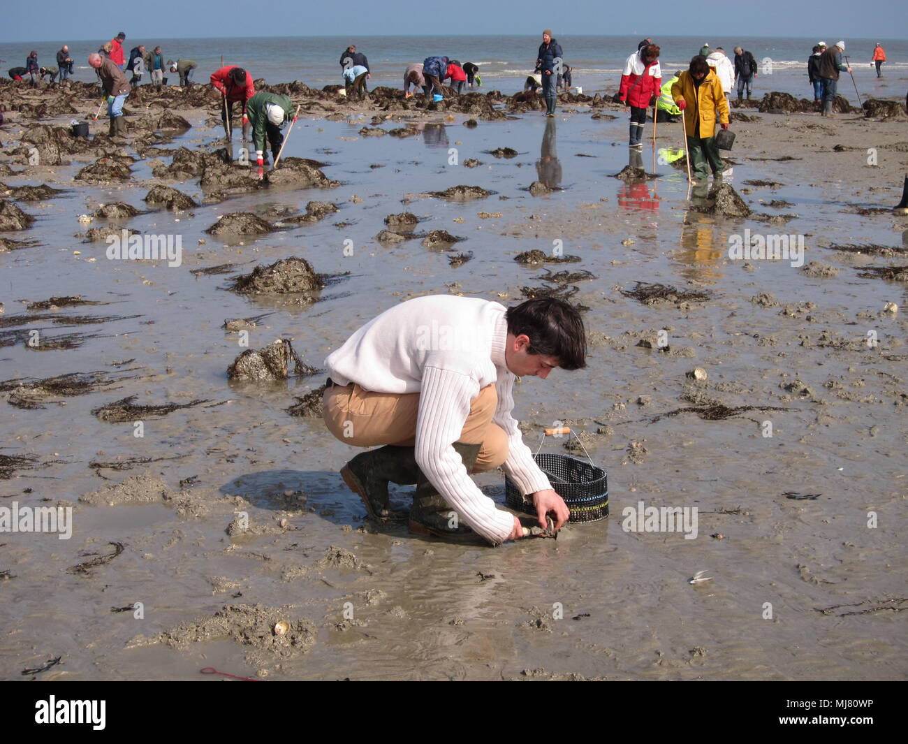 shell fishing on the foreshore at Martin beach Stock Photo - Alamy