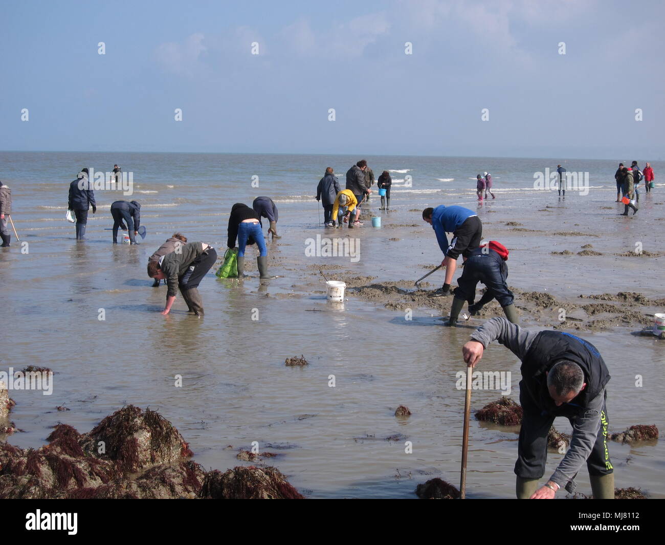 shell fishing on the foreshore at Martin beach Stock Photo - Alamy
