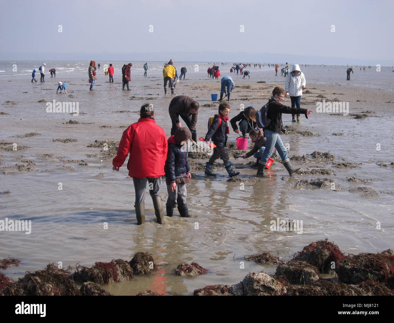 shell fishing on the foreshore at Martin beach Stock Photo - Alamy