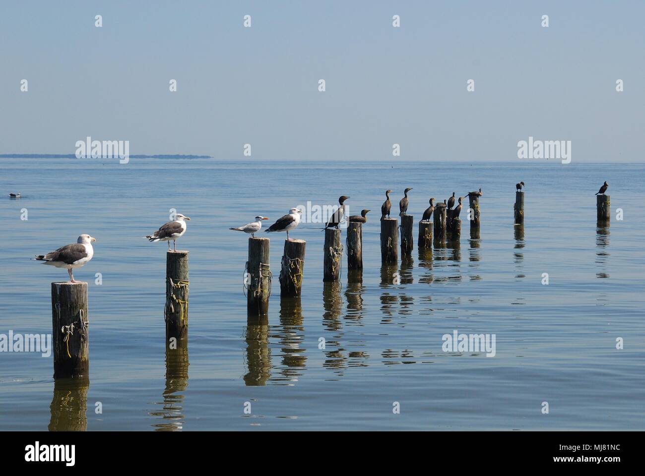 Colonial beach hi-res stock photography and images - Alamy