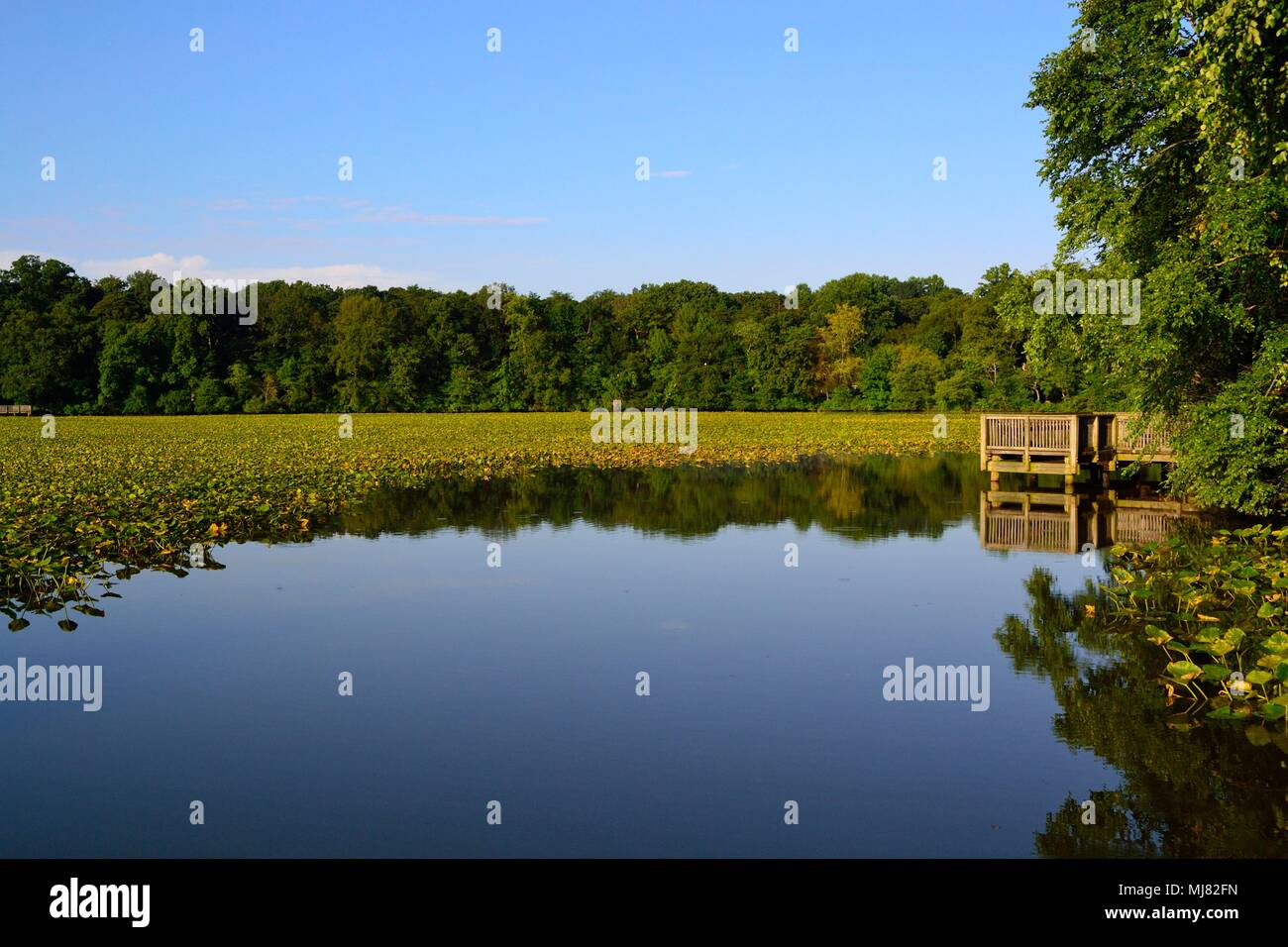 Rancocas Creek tributary of Delaware River, at Historic Smithville Park ...