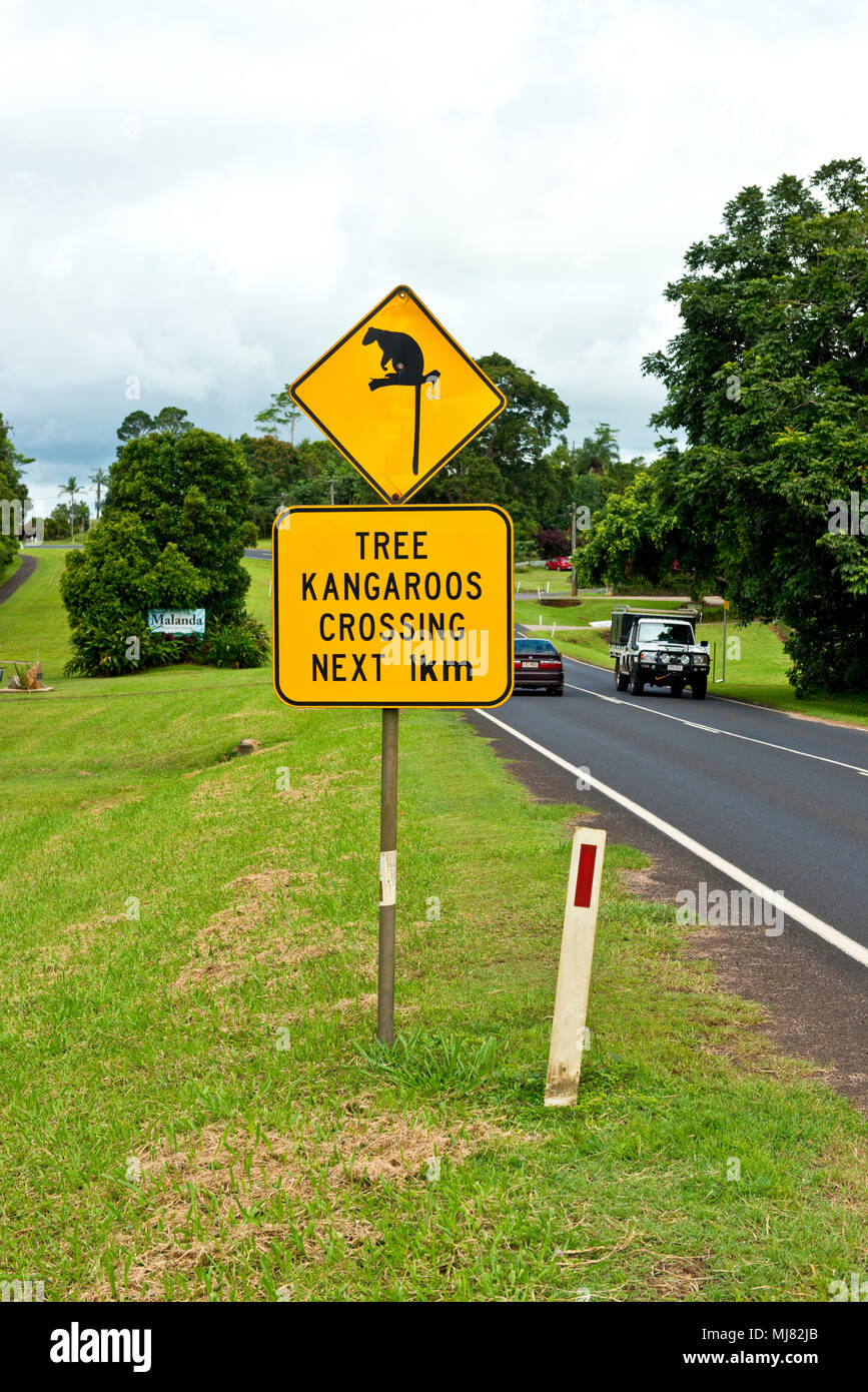 Tree Kangaroo Crossing warning road sign Stock Photo - Alamy
