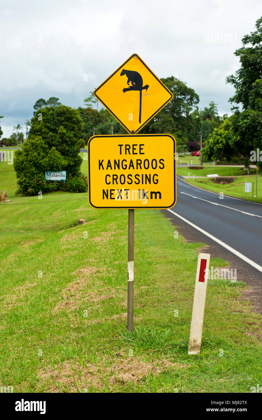 Tree Kangaroo Crossing warning road sign Stock Photo - Alamy