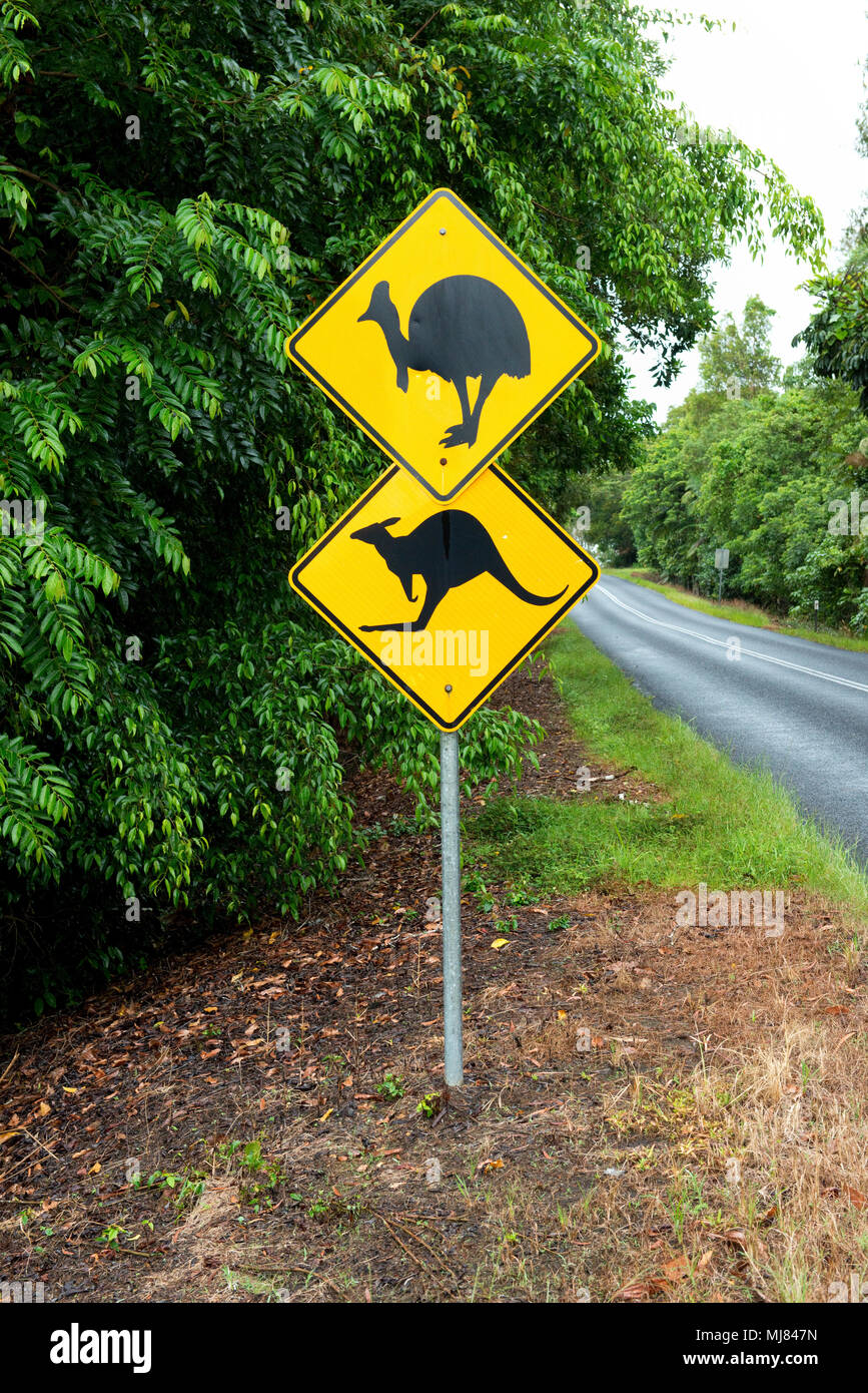 Kangaroo and Cassowary road signs Stock Photo - Alamy