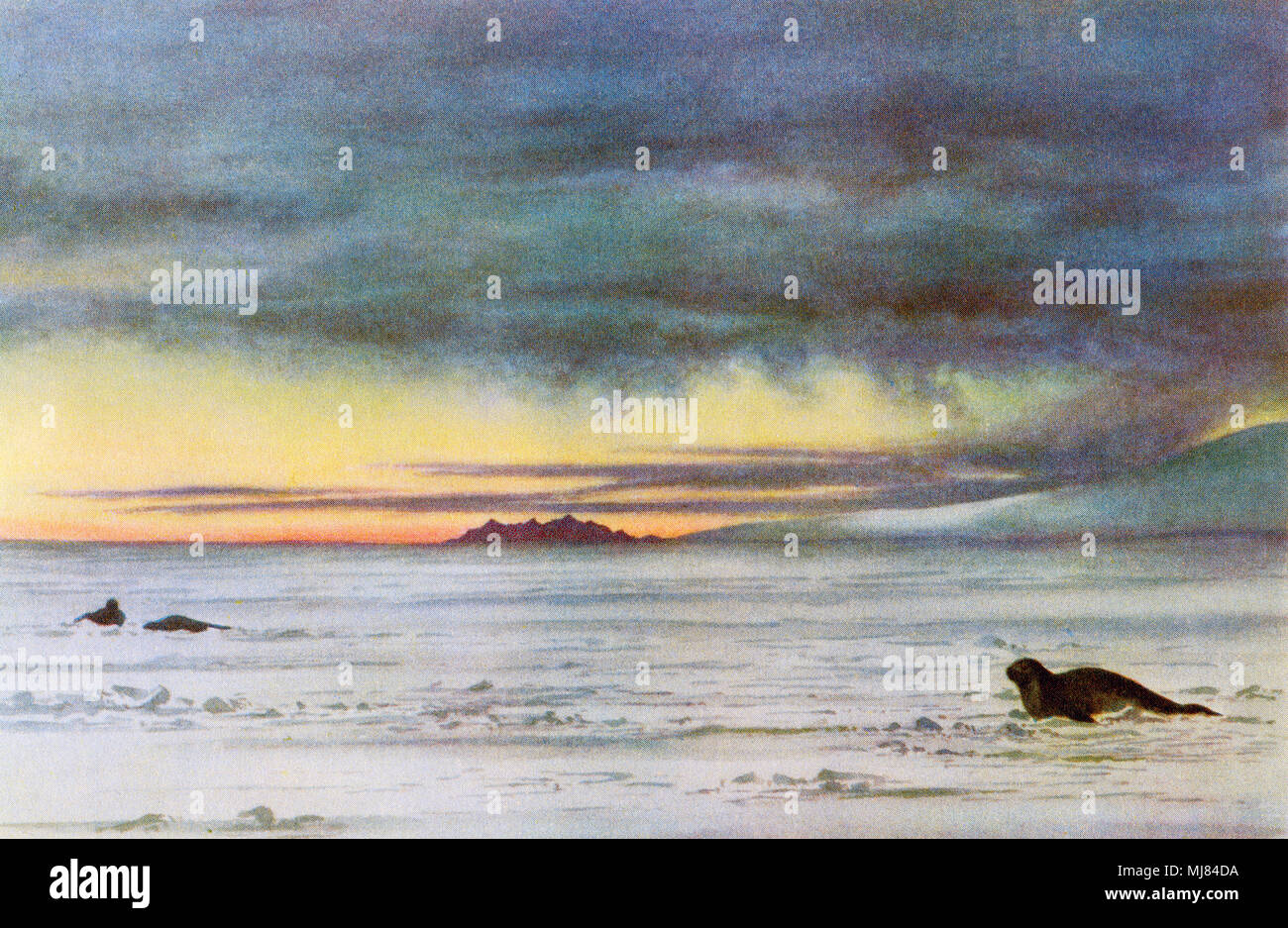 English Explorer Of Antarctica High Resolution Stock Photography and ...