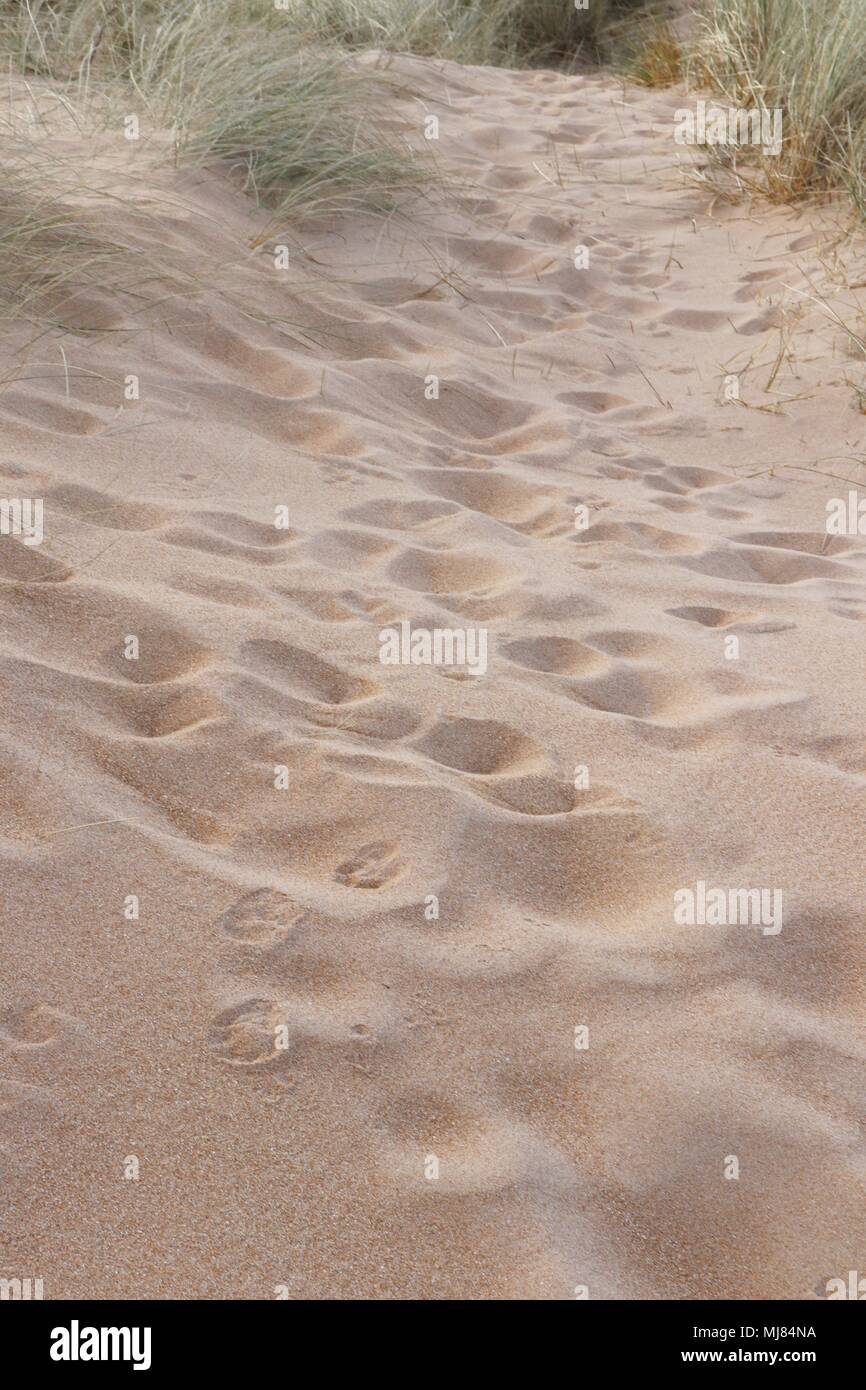 Marks in sand Stock Photo - Alamy