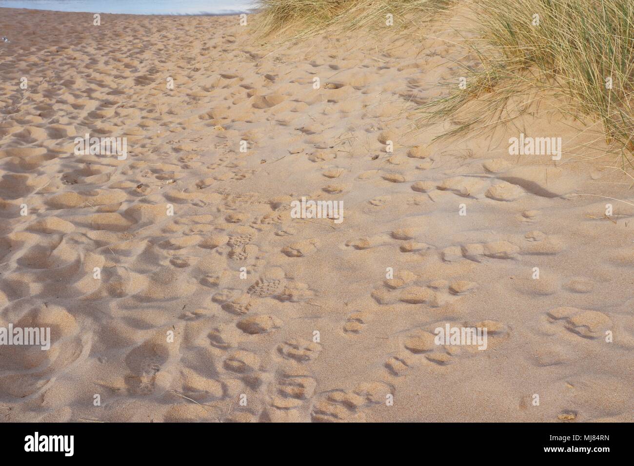 Marks in sand Stock Photo - Alamy
