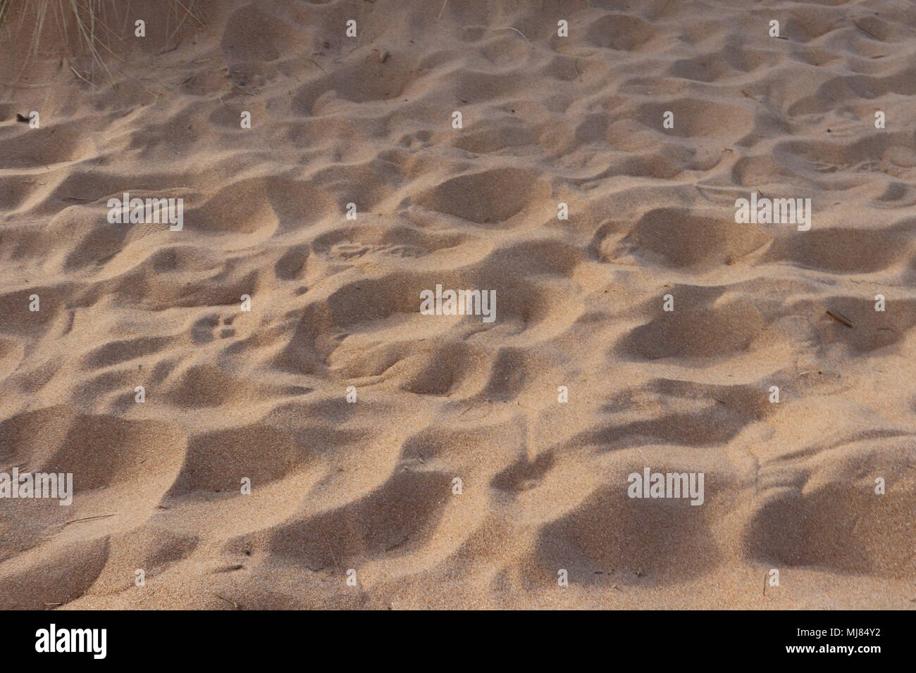 Marks in sand Stock Photo - Alamy