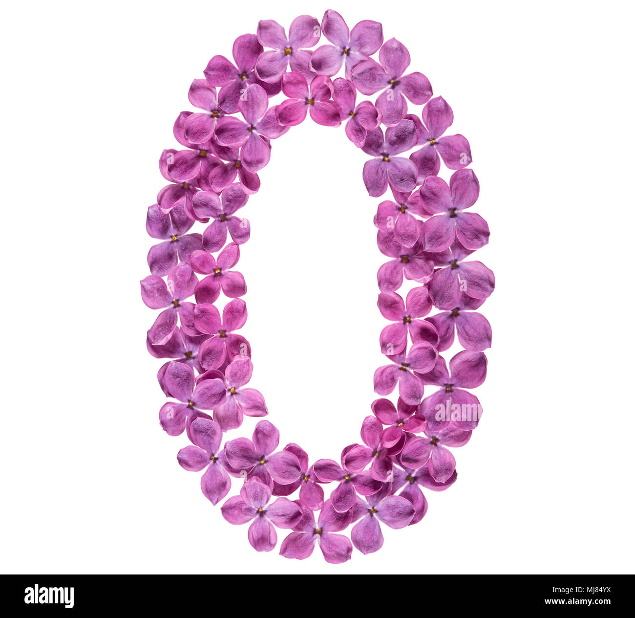 Arabic numeral 0, zero, from flowers of lilac, isolated on white ...