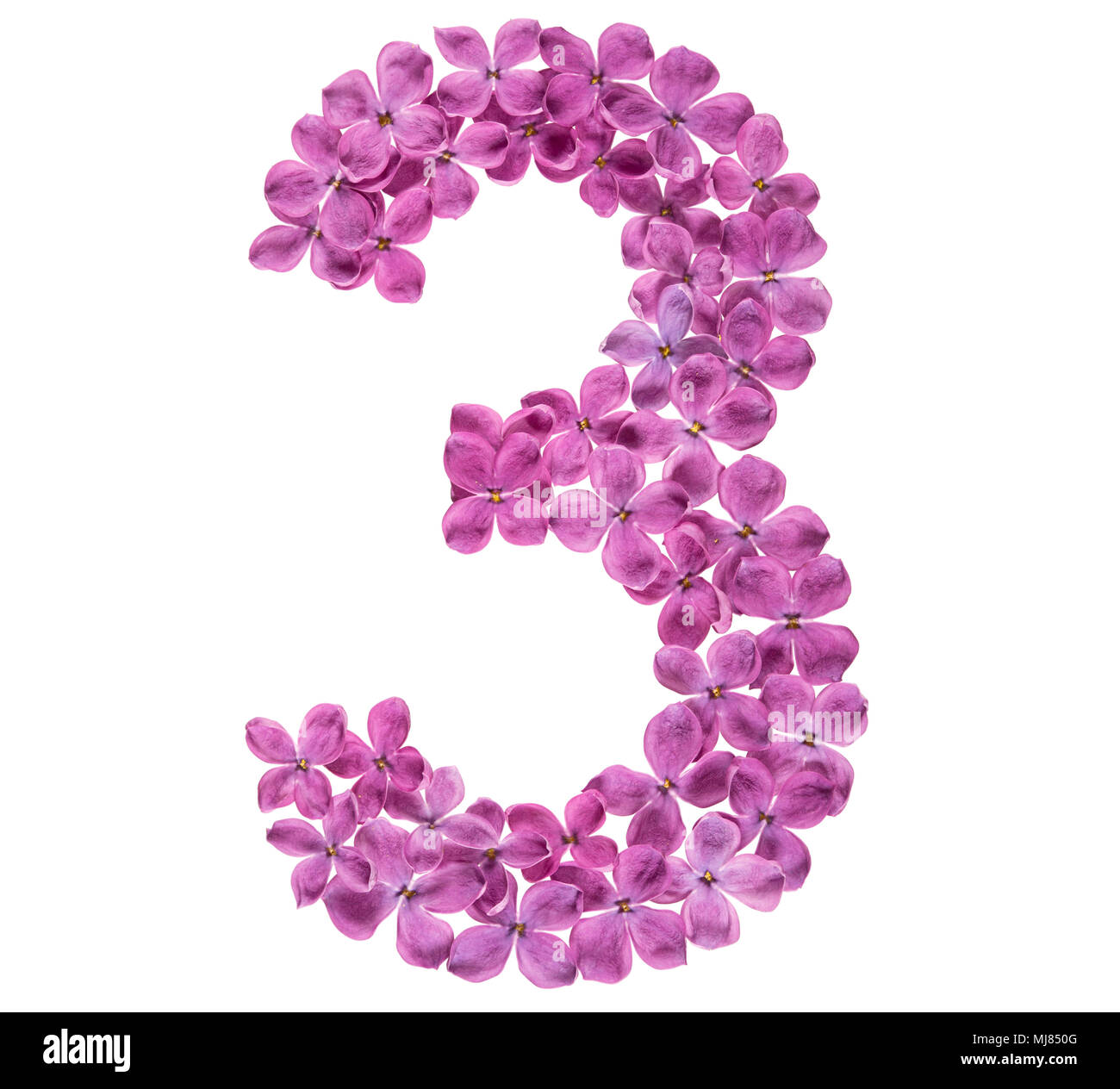 Arabic numeral 3, three, from flowers of lilac, isolated on white ...