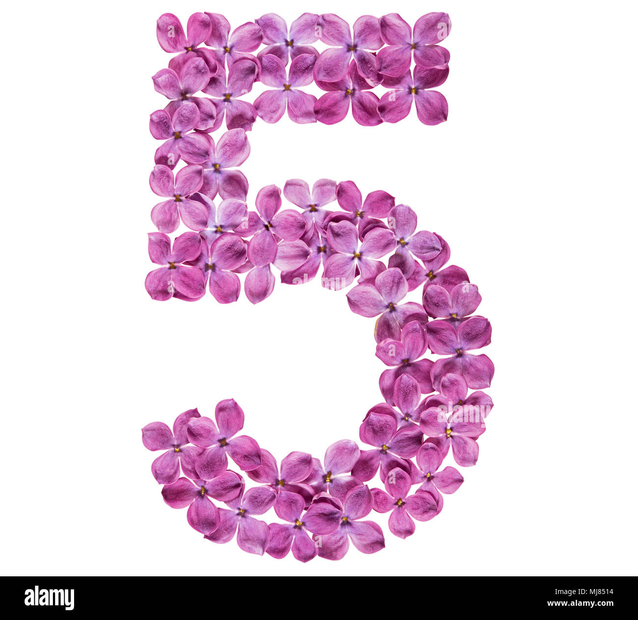 Arabic numeral 5, five, from flowers of lilac, isolated on white ...