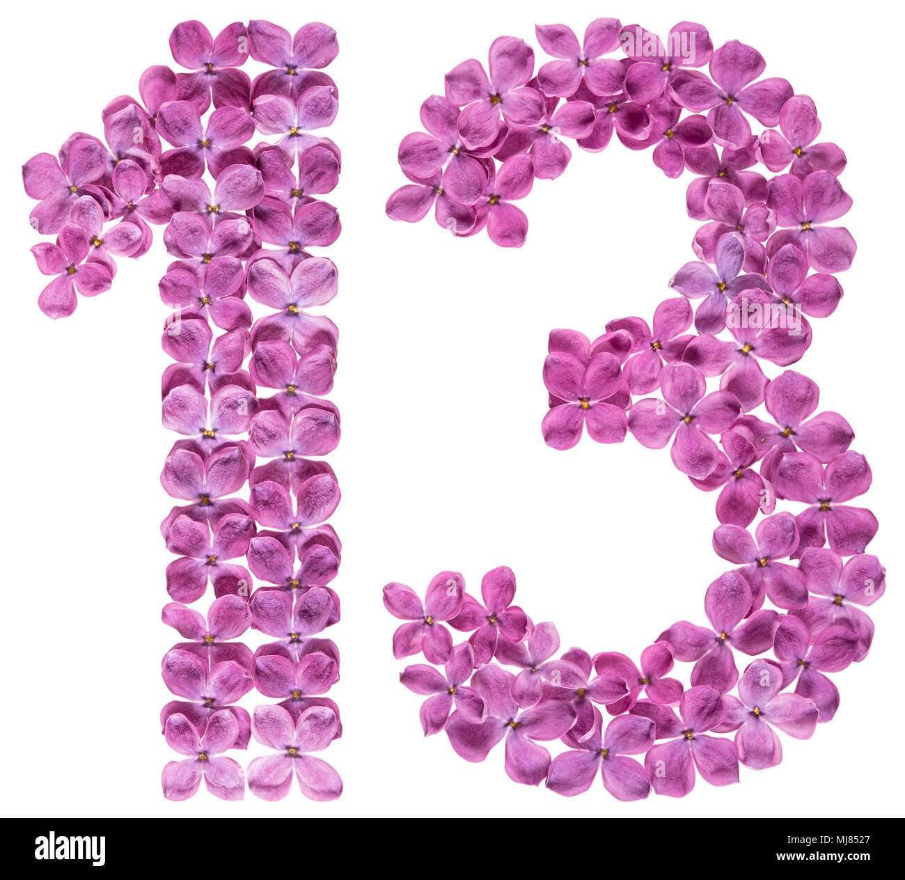 Arabic numeral 13, thirteen, from flowers of lilac, isolated on white ...