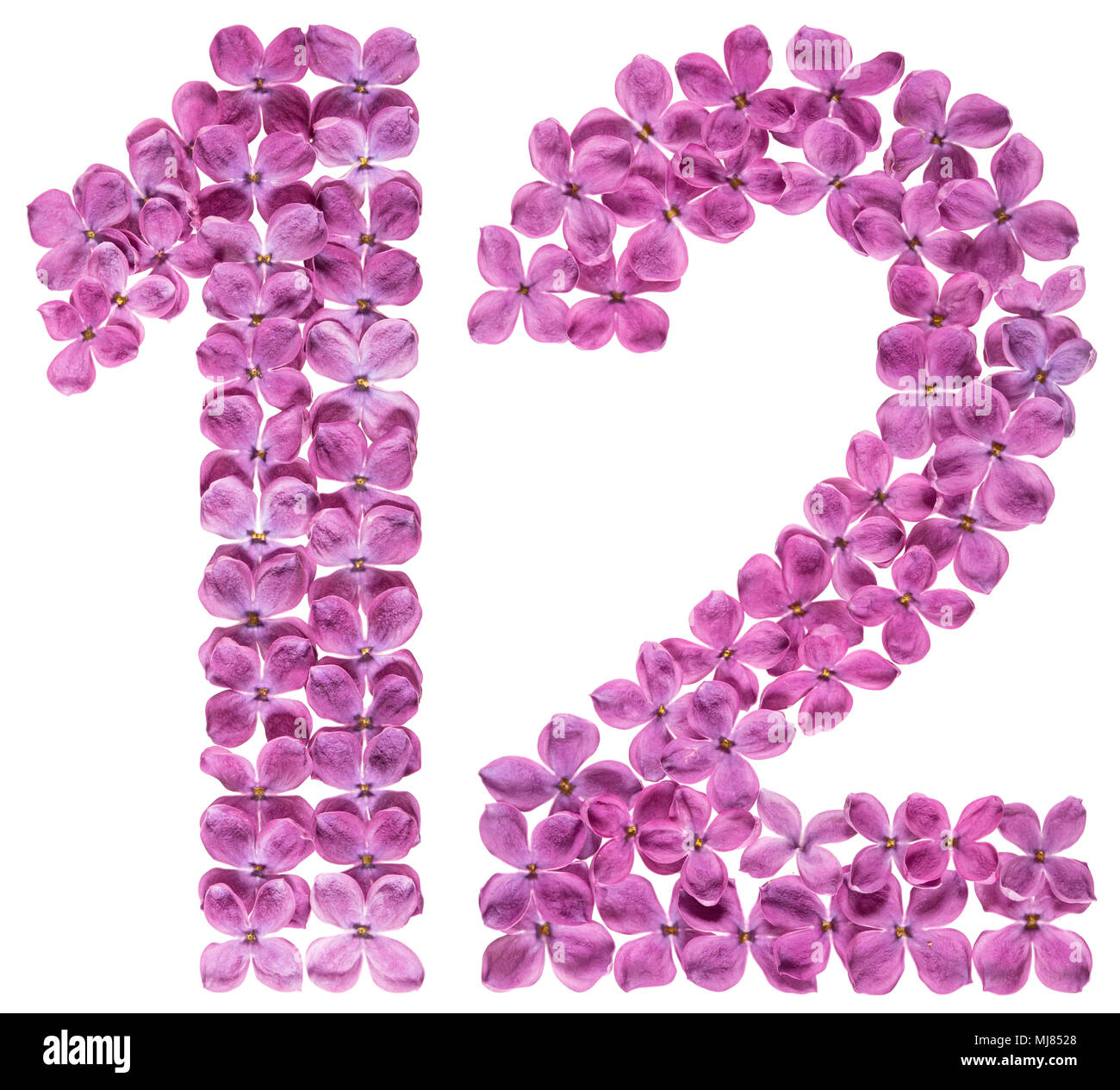Arabic numeral 12, twelve, from flowers of lilac, isolated on white ...