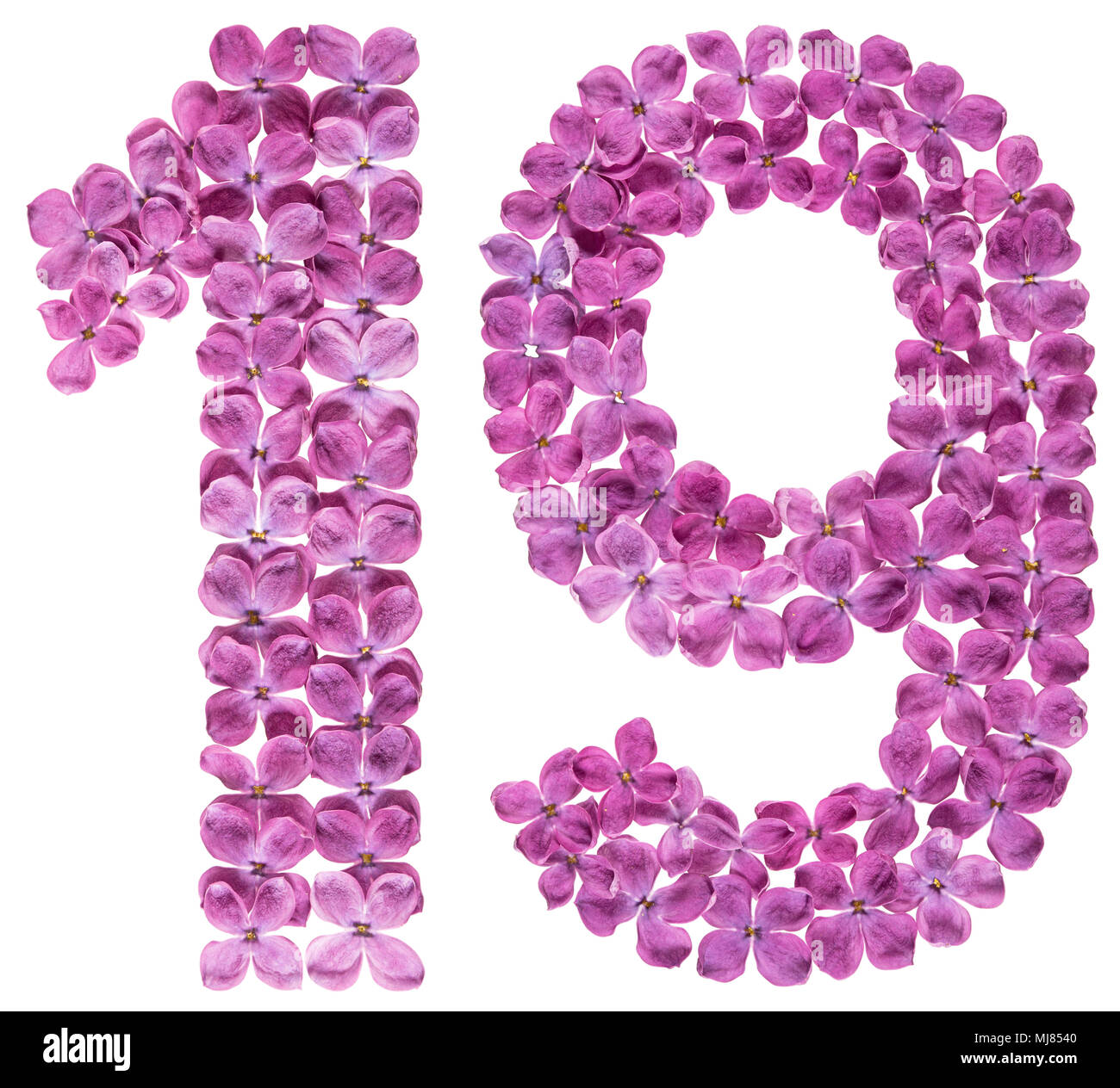 Arabic numeral 19, nineteen, from flowers of lilac, isolated on white ...