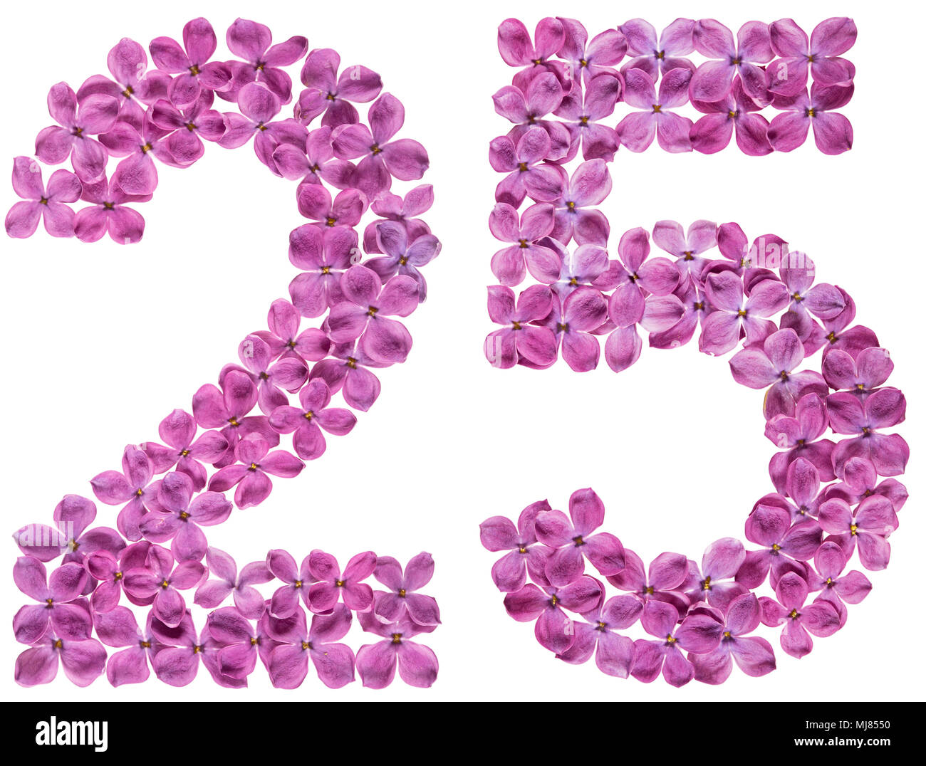 Arabic numeral 25, twenty five, from flowers of lilac, isolated on ...