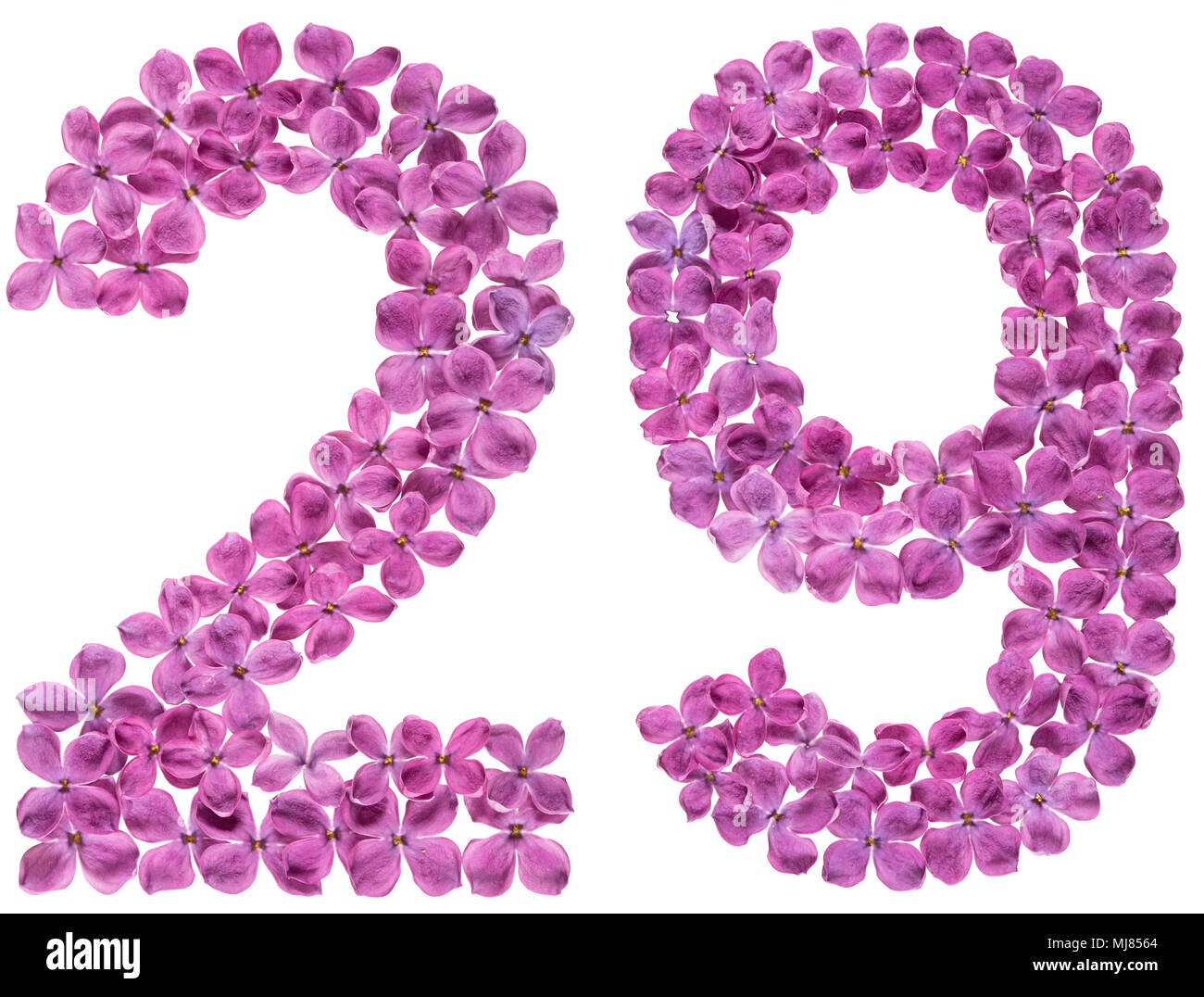 Arabic numeral 29, twenty nine, from flowers of lilac, isolated on ...