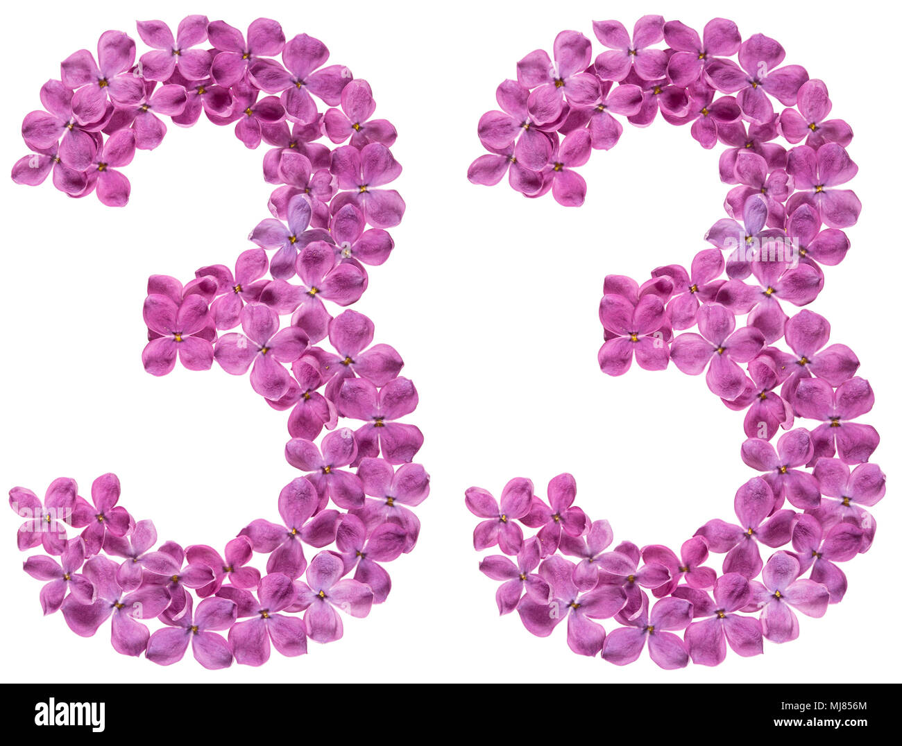 Arabic numeral 33, thirty three, from flowers of lilac, isolated on ...