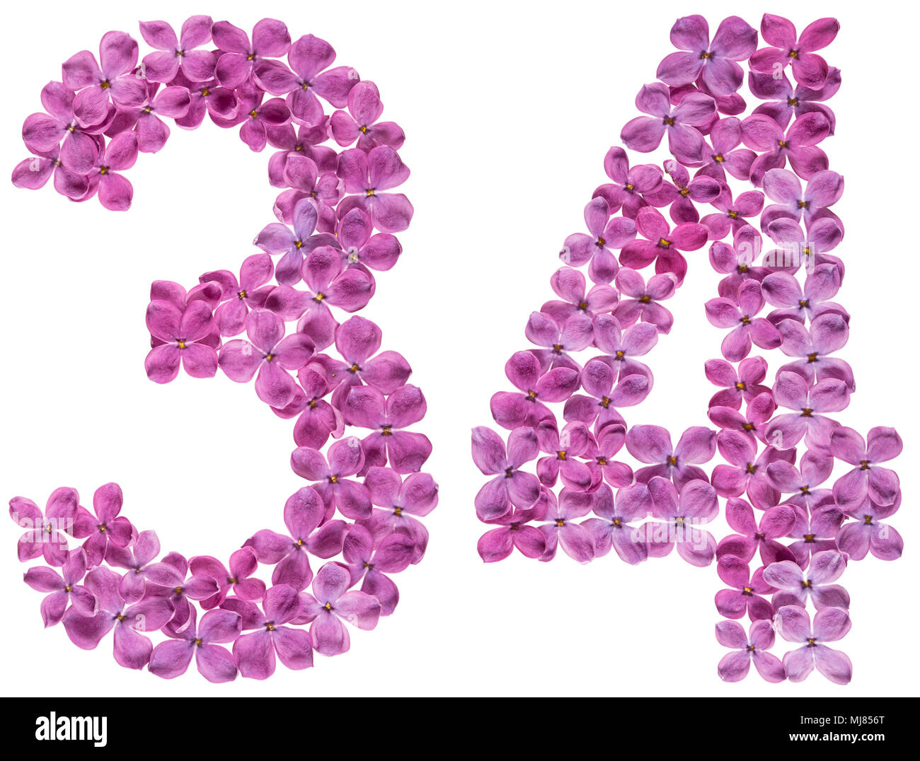 Arabic numeral 34, thirty four, from flowers of lilac, isolated on ...