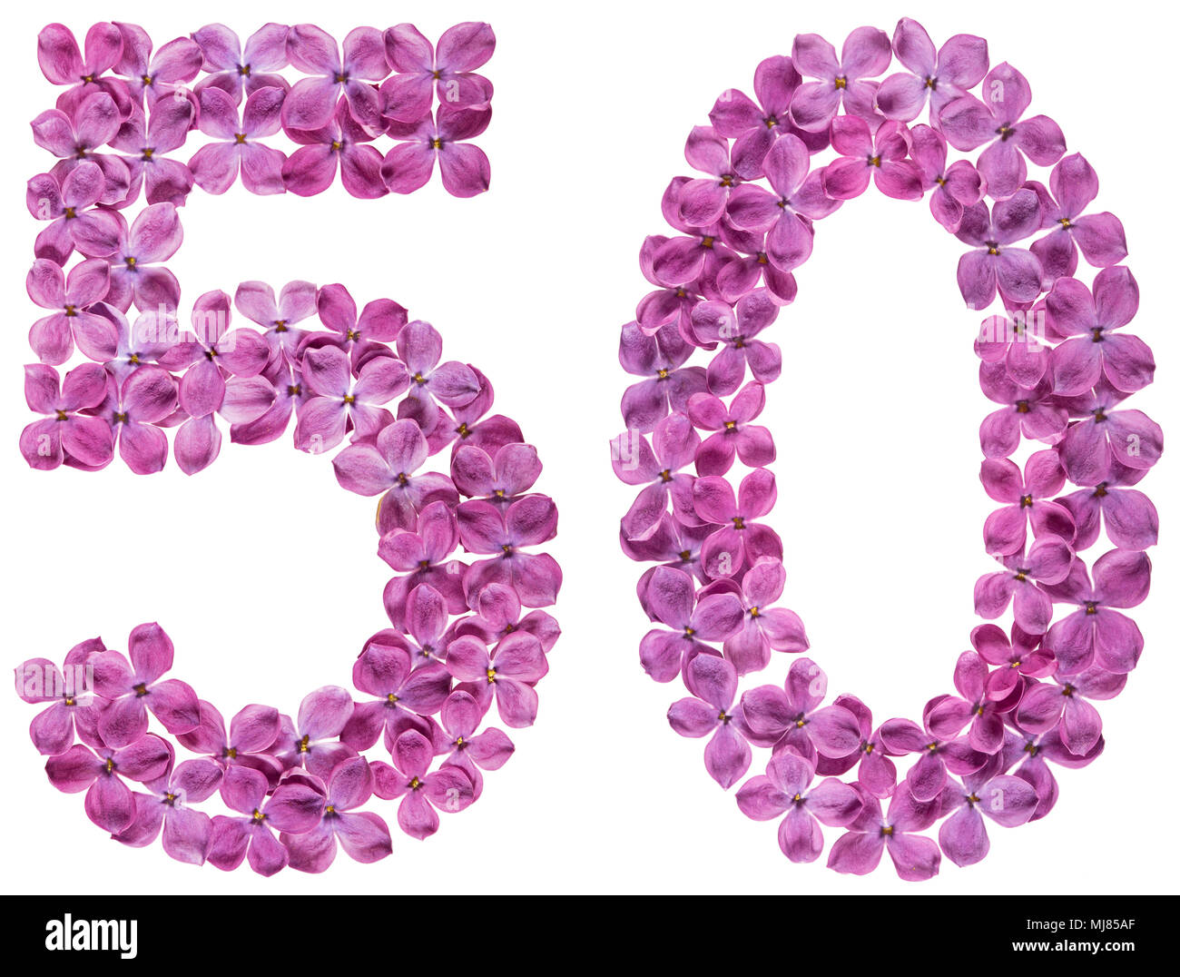 Arabic numeral from 50, fifty, flowers of lilac, isolated on white ...