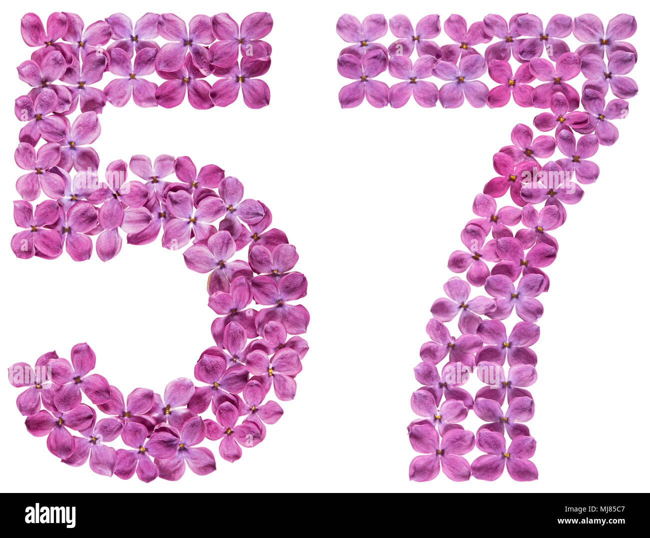 Arabic numeral 57, fifty seven, from flowers of lilac, isolated on ...