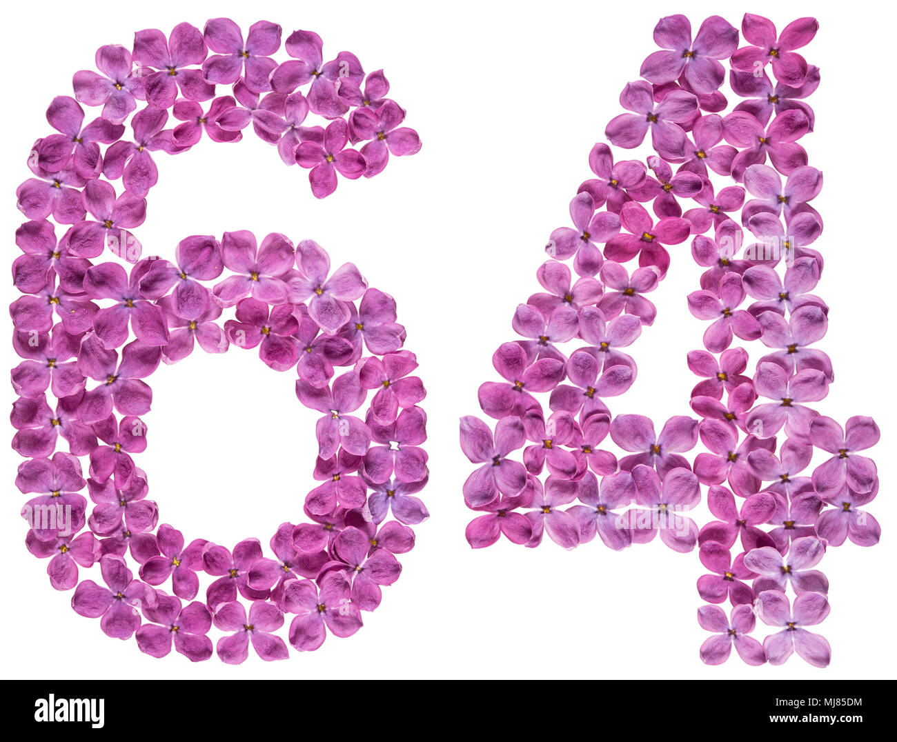 Arabic numeral 64, sixty four, from flowers of lilac, isolated on white ...