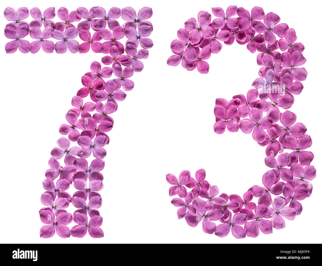 Arabic numeral 73, seventy three, from flowers of lilac, isolated on ...