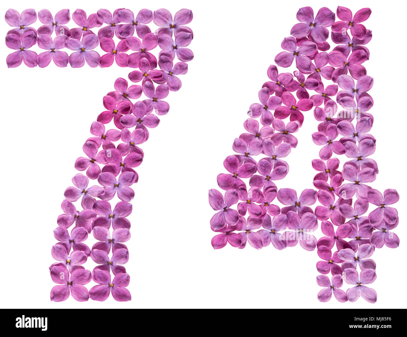 Arabic numeral 74, seventy four, from flowers of lilac, isolated on ...