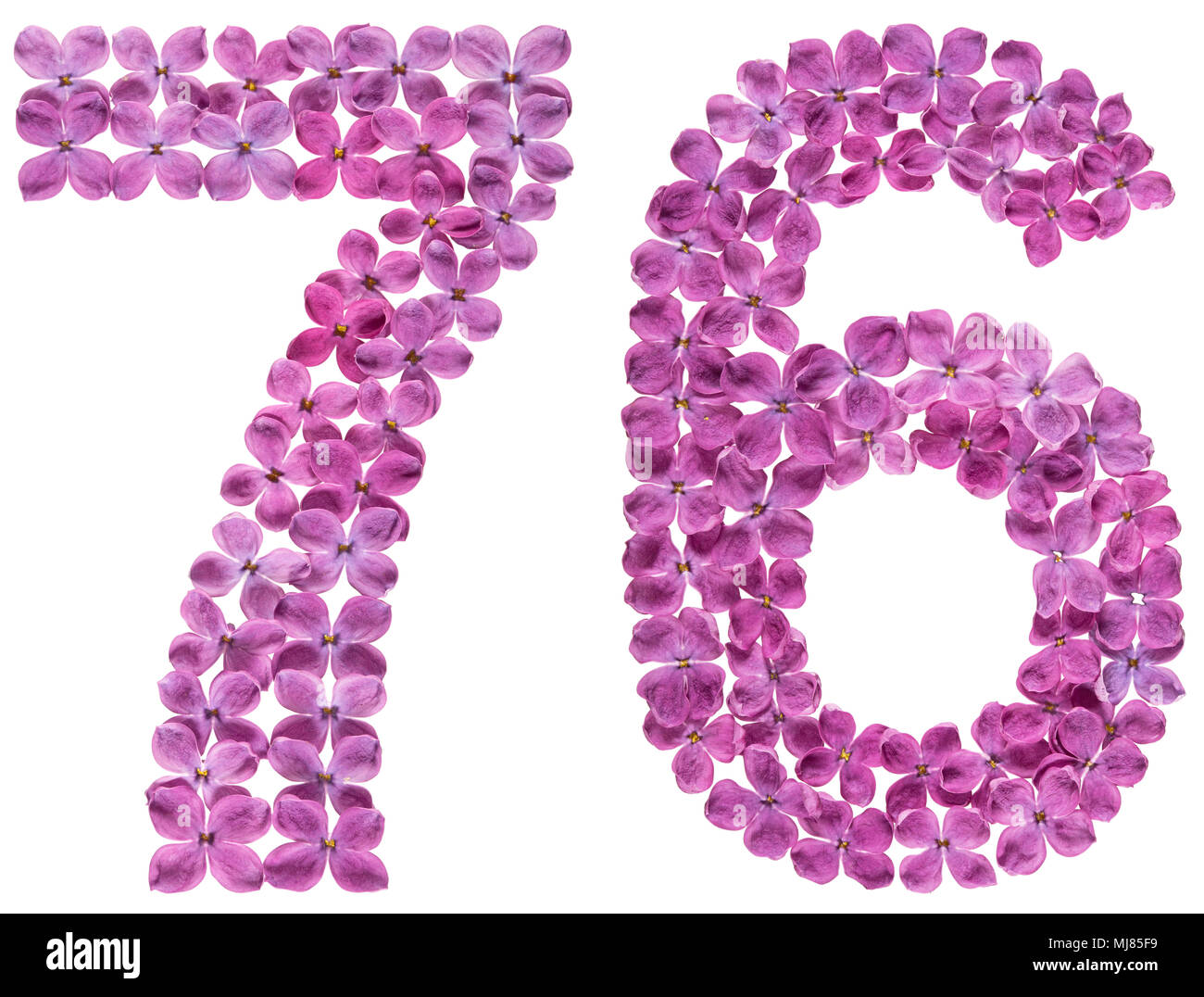 Arabic numeral 76, seventy six, from flowers of lilac, isolated on ...