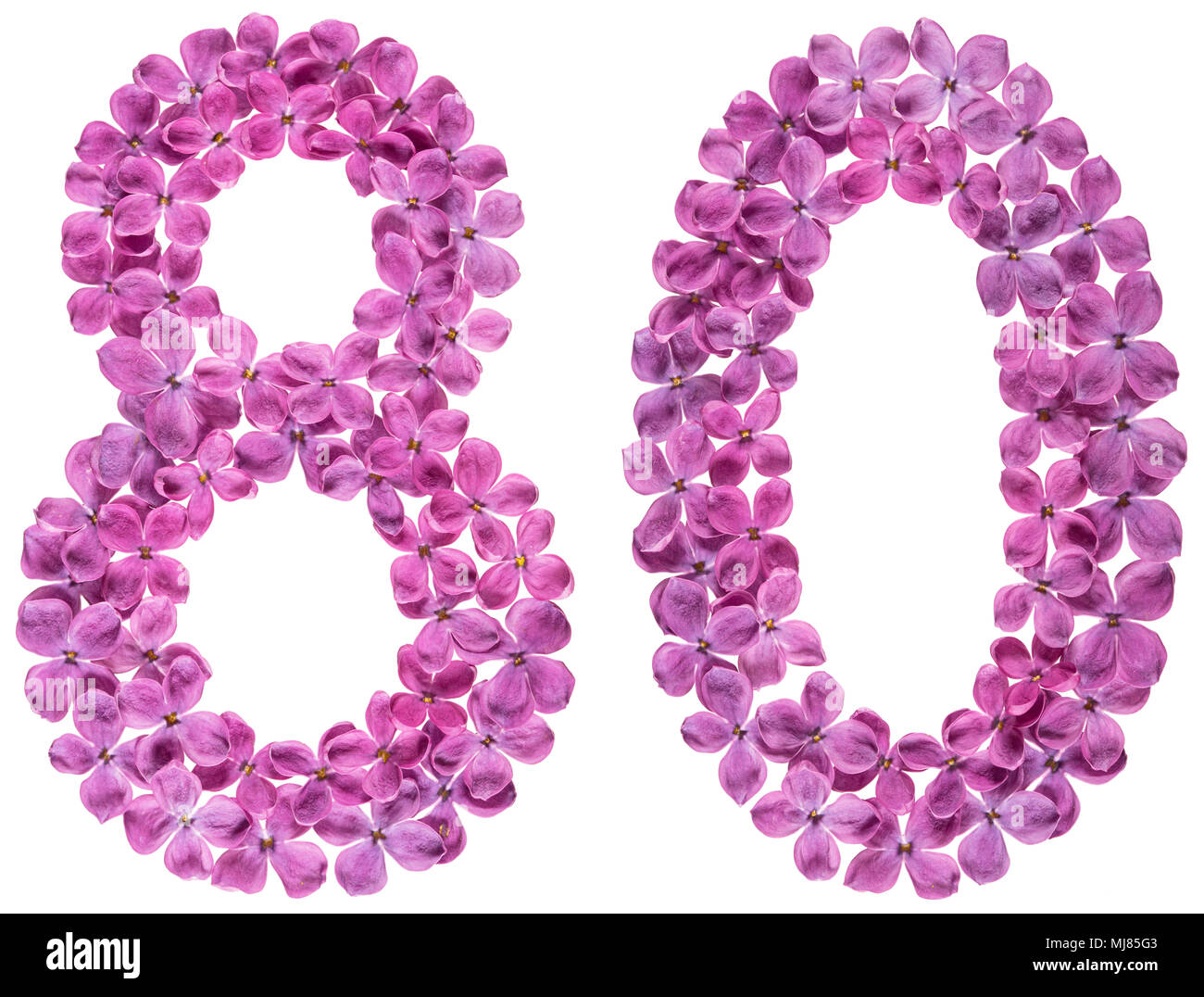 Arabic numeral 80, eighty, from flowers of lilac, isolated on white ...
