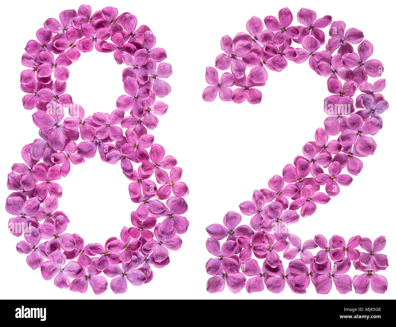 Arabic numeral 82, eighty two, from flowers of lilac, isolated on white ...