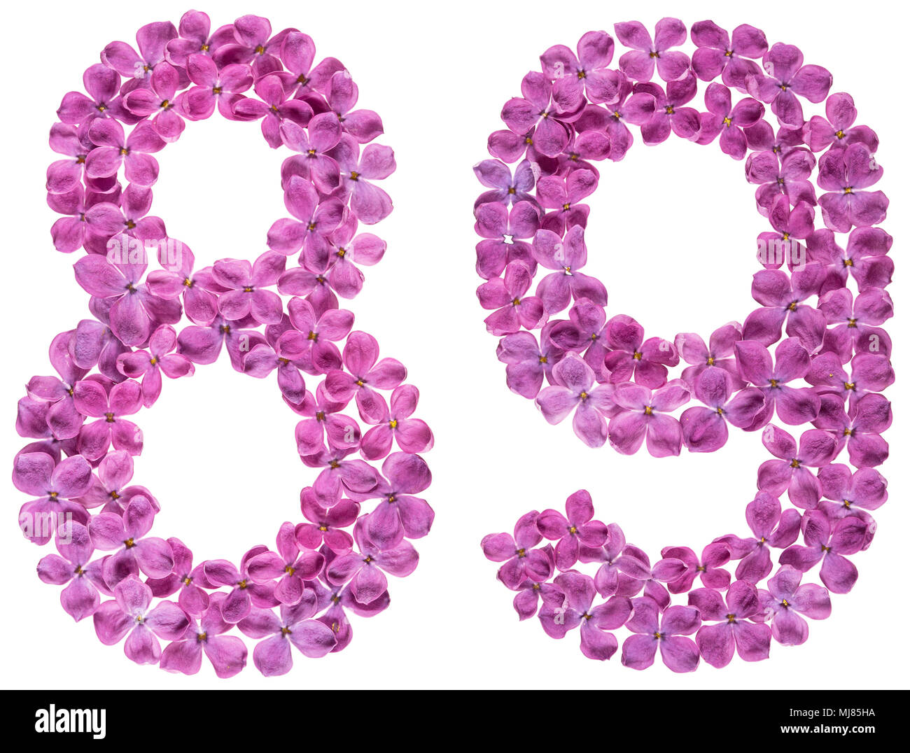 Arabic numeral 89, eighty nine, from flowers of lilac, isolated on ...