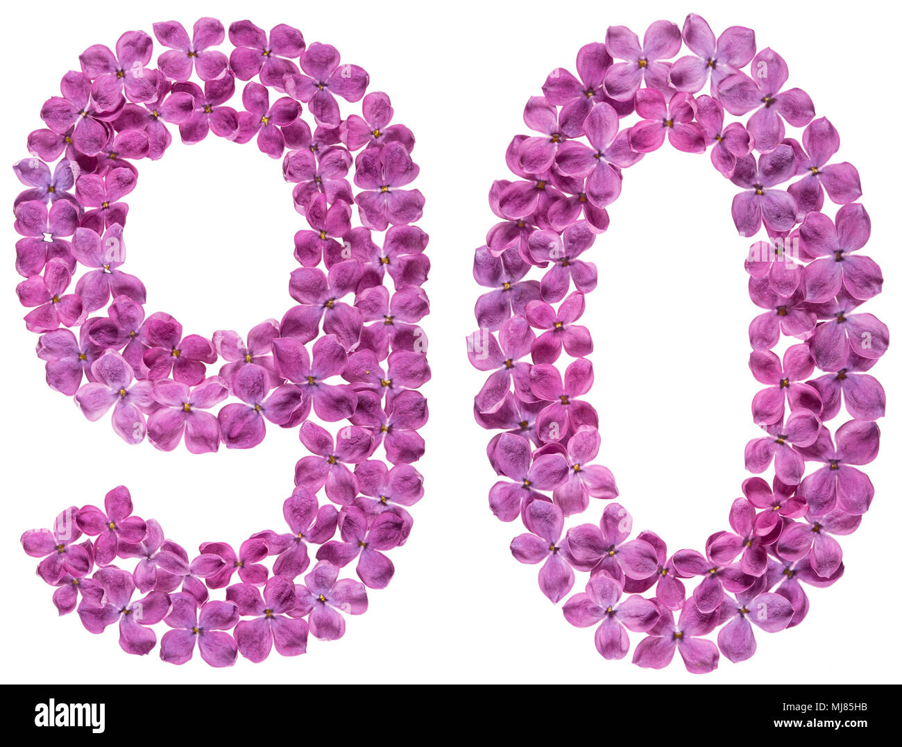 Arabic numeral 90, ninety, from flowers of lilac, isolated on white ...