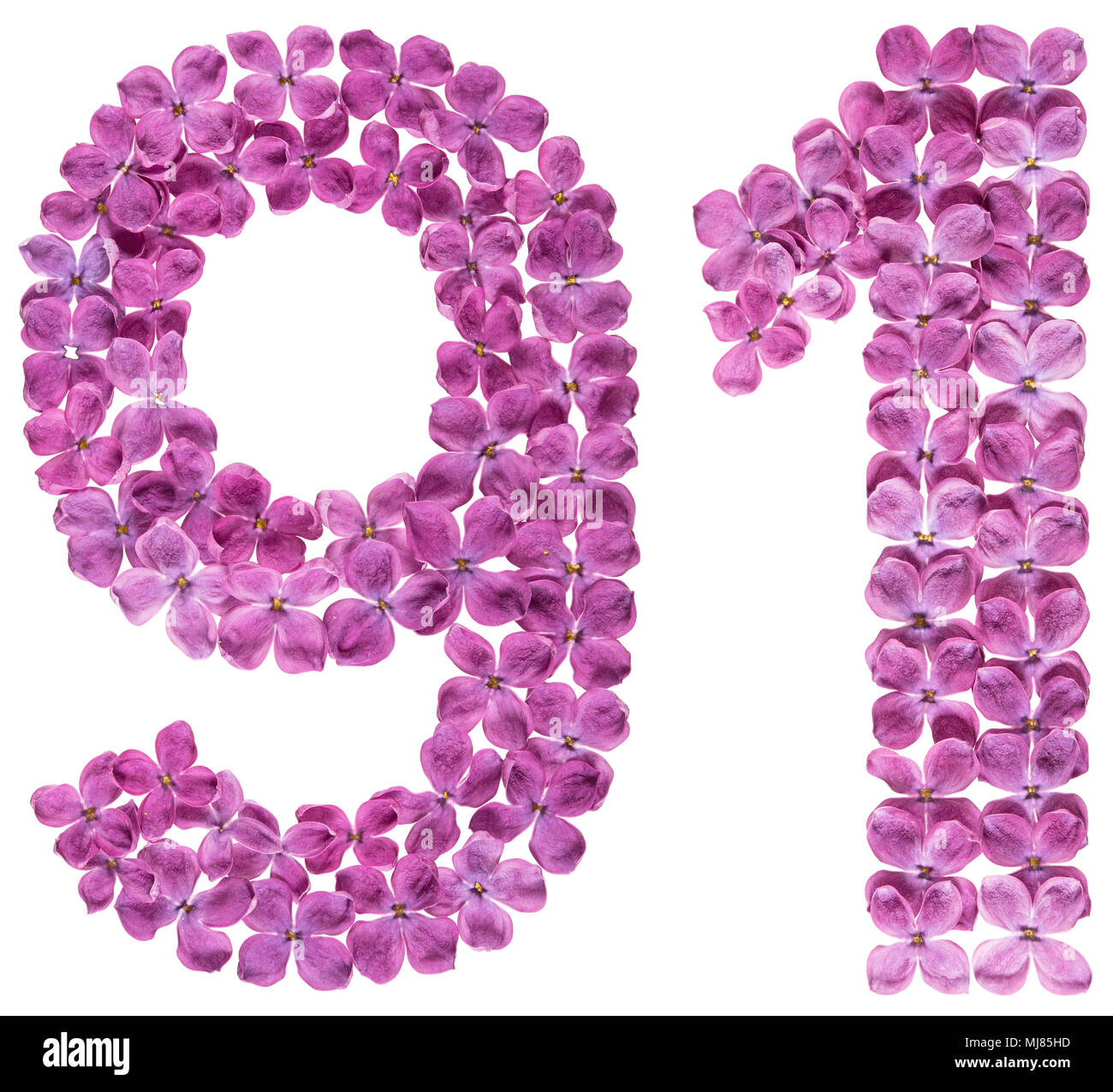 Arabic numeral 91, ninety one, from flowers of lilac, isolated on white background Stock Photo ...